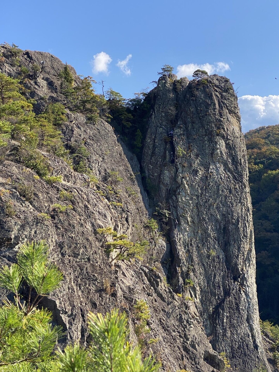 大岩岳・東大岩岳・丸山・百丈岩 / Mikity さんの大岩ヶ岳の活動日記 | YAMAP / ヤマップ