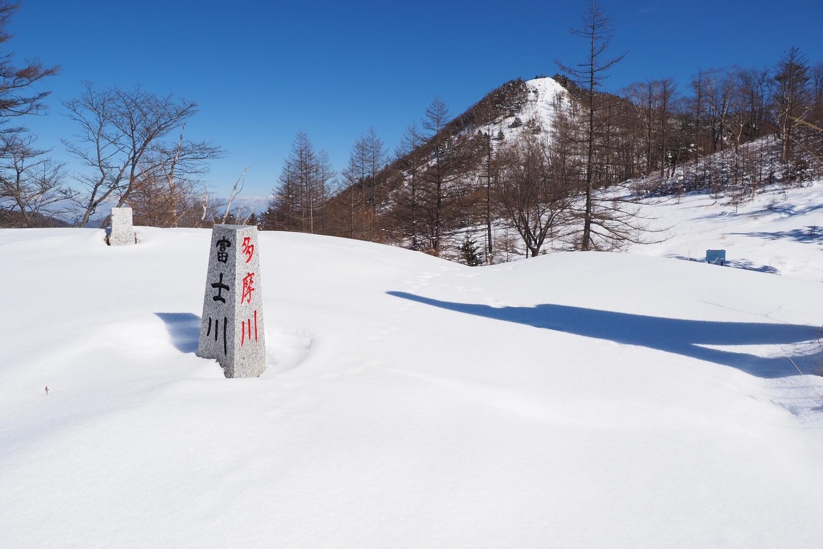 笠取山へ。又も撤退😭 / mi-papaさんの和名倉山・笠取山・東仙波の活動データ | YAMAP / ヤマップ