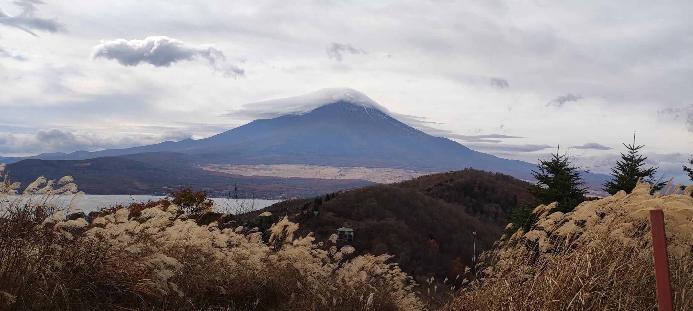 平尾山・一ノ砂ノ沢ノ頭・石割山 / yuki83さんの御正体山・杓子山・石割山の活動データ | YAMAP / ヤマップ
