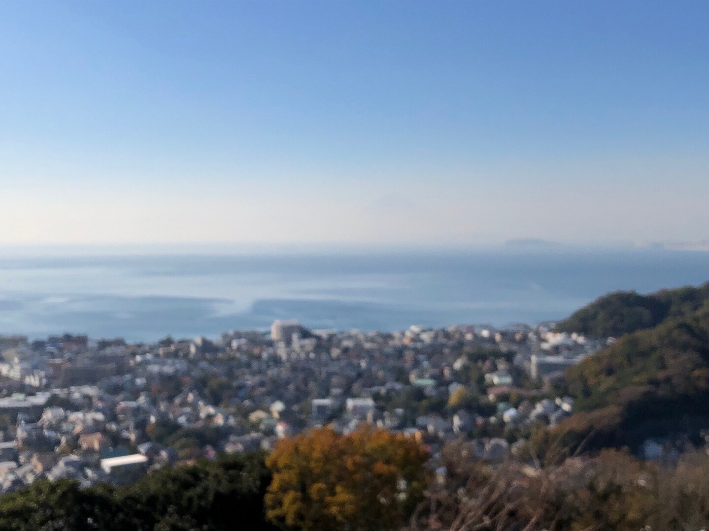 三浦アルプス(畠山-乳頭山-茅塚-観音塚-ソッカ-仙元山) / Y-kobaさんの三浦アルプス・二子山・仙元山の活動データ | YAMAP / ヤマップ