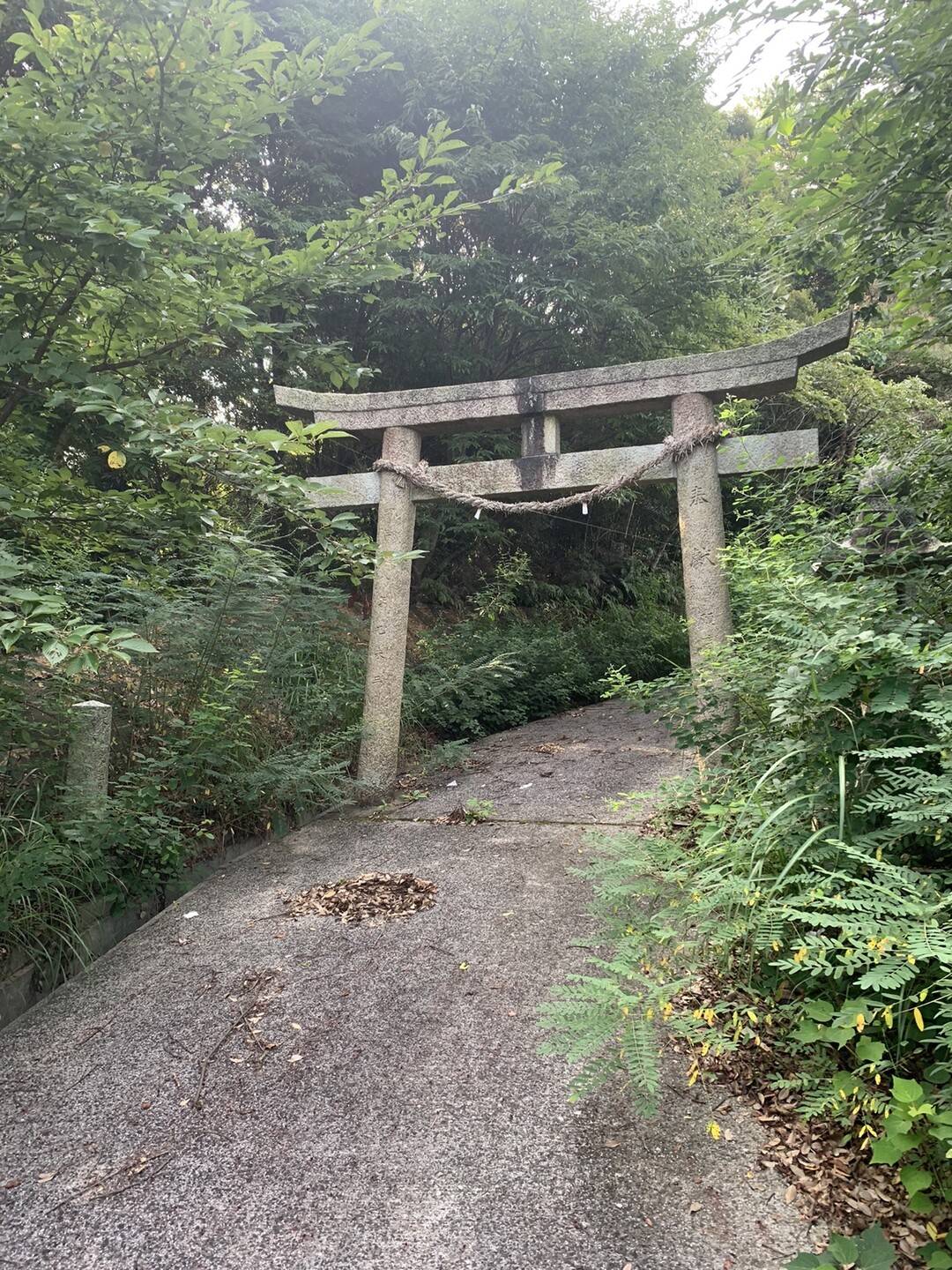 お手軽な日ノ峰山 / koma_xさんの山陽小野田市の活動データ | YAMAP / ヤマップ