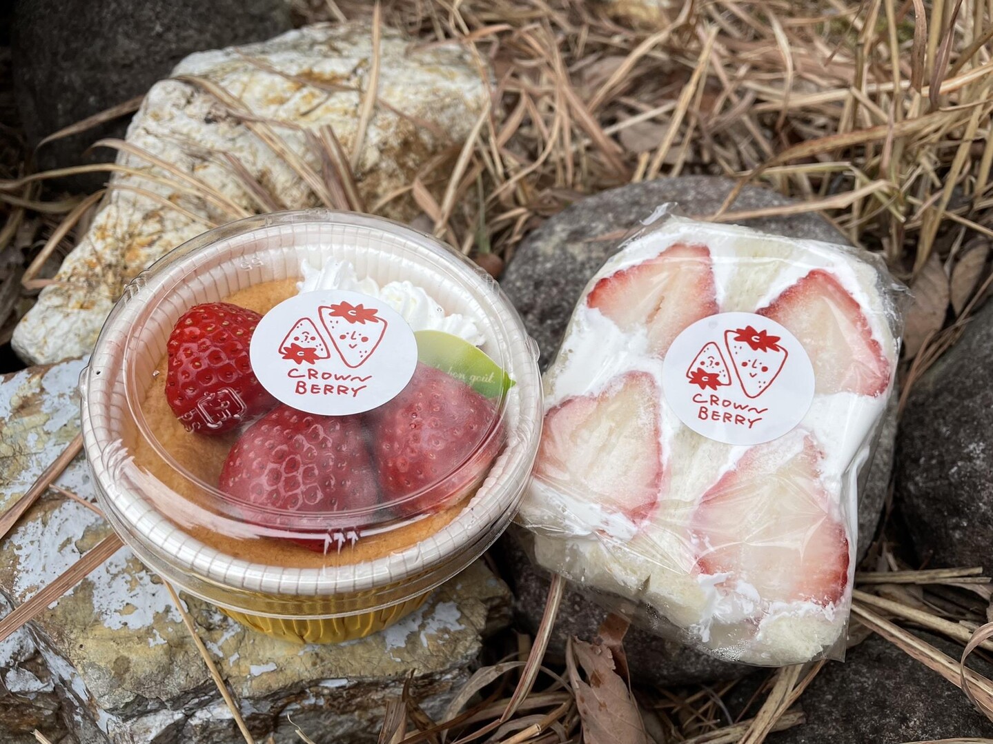 金華山GTもどき＋苺🍓💕 / ayakaさんの金華山・洞山・舟伏山の活動データ | YAMAP / ヤマップ