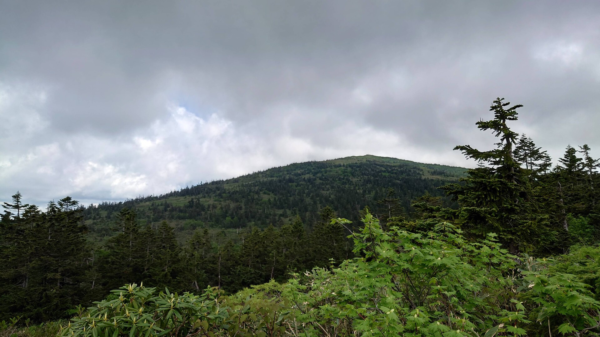 初登山森吉 / WA1号さんの登山の活動データ | YAMAP / ヤマップ