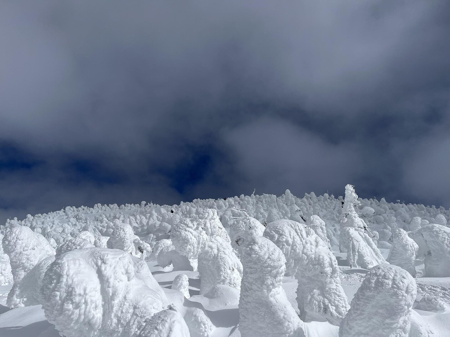 西大巓・西吾妻山 / Zakiさんの吾妻山・一切経山の活動データ | YAMAP / ヤマップ