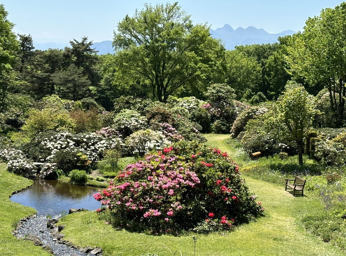 赤城自然園 / Ricoさんの赤城山・黒檜山・荒山の活動データ | YAMAP / ヤマップ