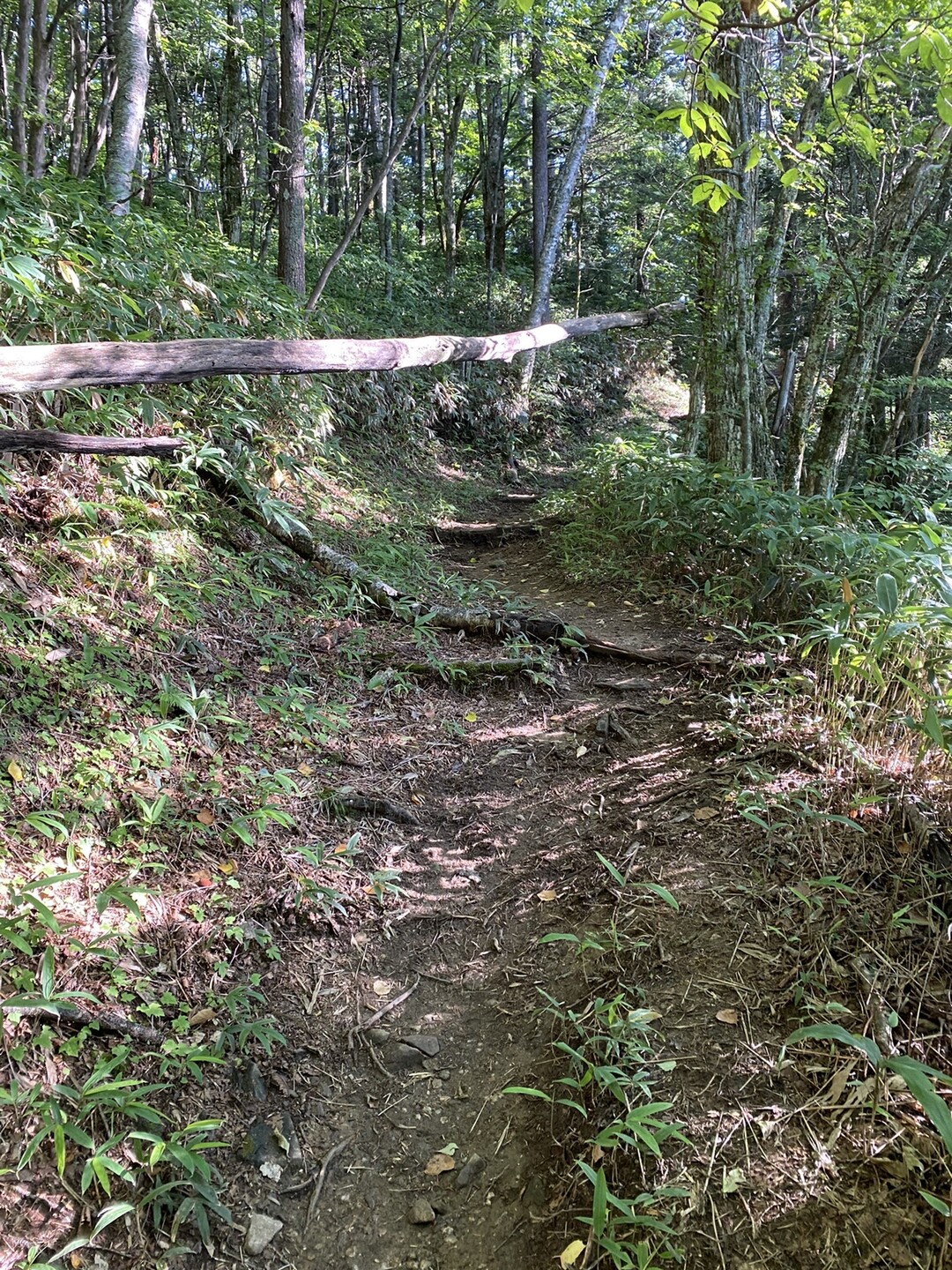 Gentil15さんの投稿したフィールドメモ | YAMAP / ヤマップ