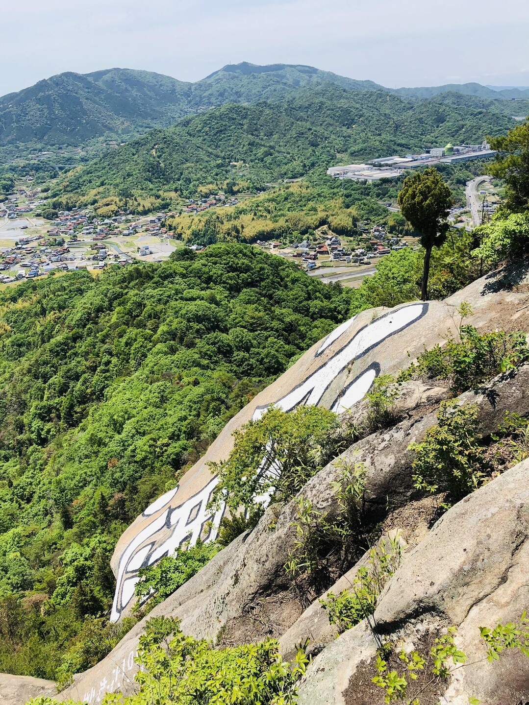 〇岩山 / Coo・kie（くぅ🗝️）さんの小田山の活動日記 | YAMAP / ヤマップ