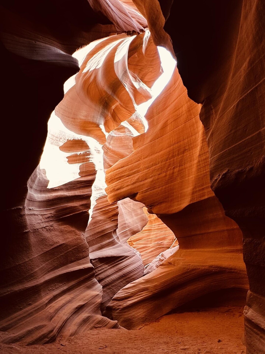 2023/6/9 The New Wav... / yamayokoさんのモーメント | YAMAP / ヤマップ