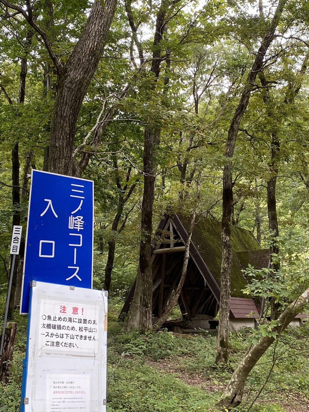 三ノ峰・二ノ峰・一ノ峰・前一ノ峰・五頭山・四ノ峰・五ノ峰 / Chie🍓Goさんの五頭山・菱ヶ岳・宝珠山の活動データ | YAMAP / ヤマップ