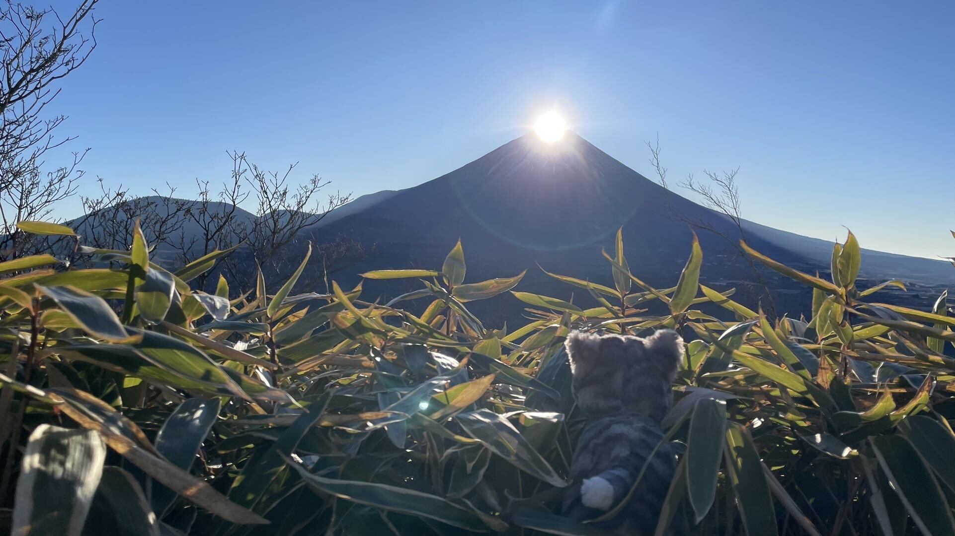 ダイヤモンド富士を見たくて 🗻🌞 竜ヶ岳 / pickji28さんの毛無山・雨ヶ岳・竜ヶ岳の活動データ | YAMAP / ヤマップ