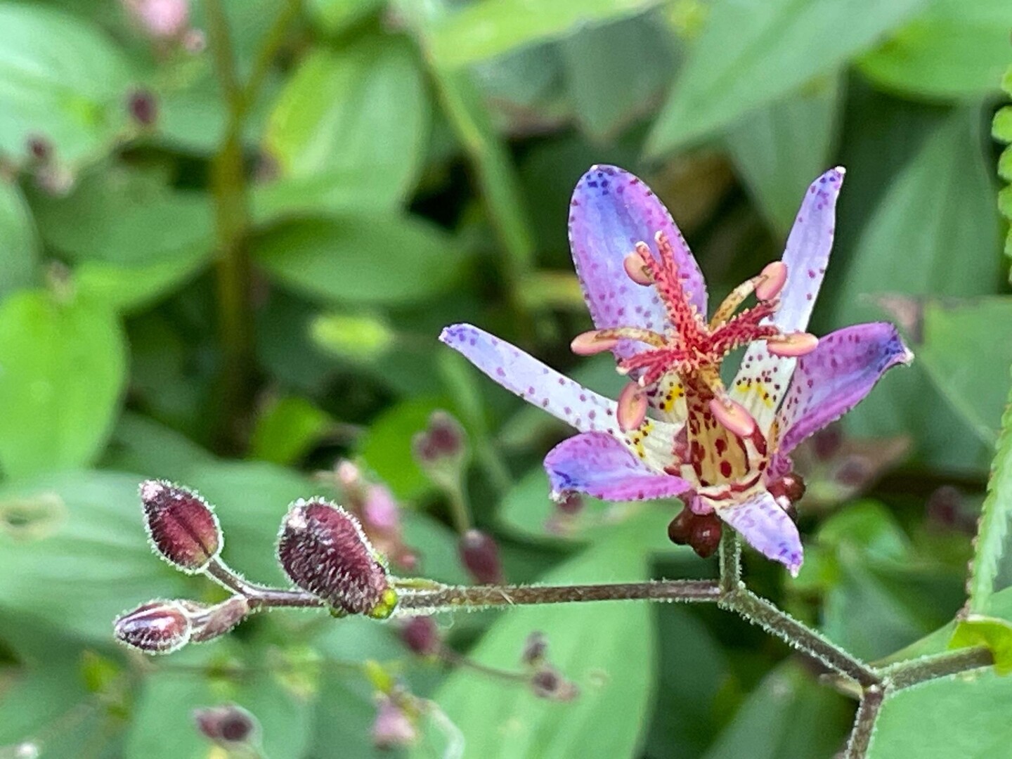 30分だけウォーキング🤭2023-10-12 / mihoさんのウォーキングの活動データ | YAMAP / ヤマップ