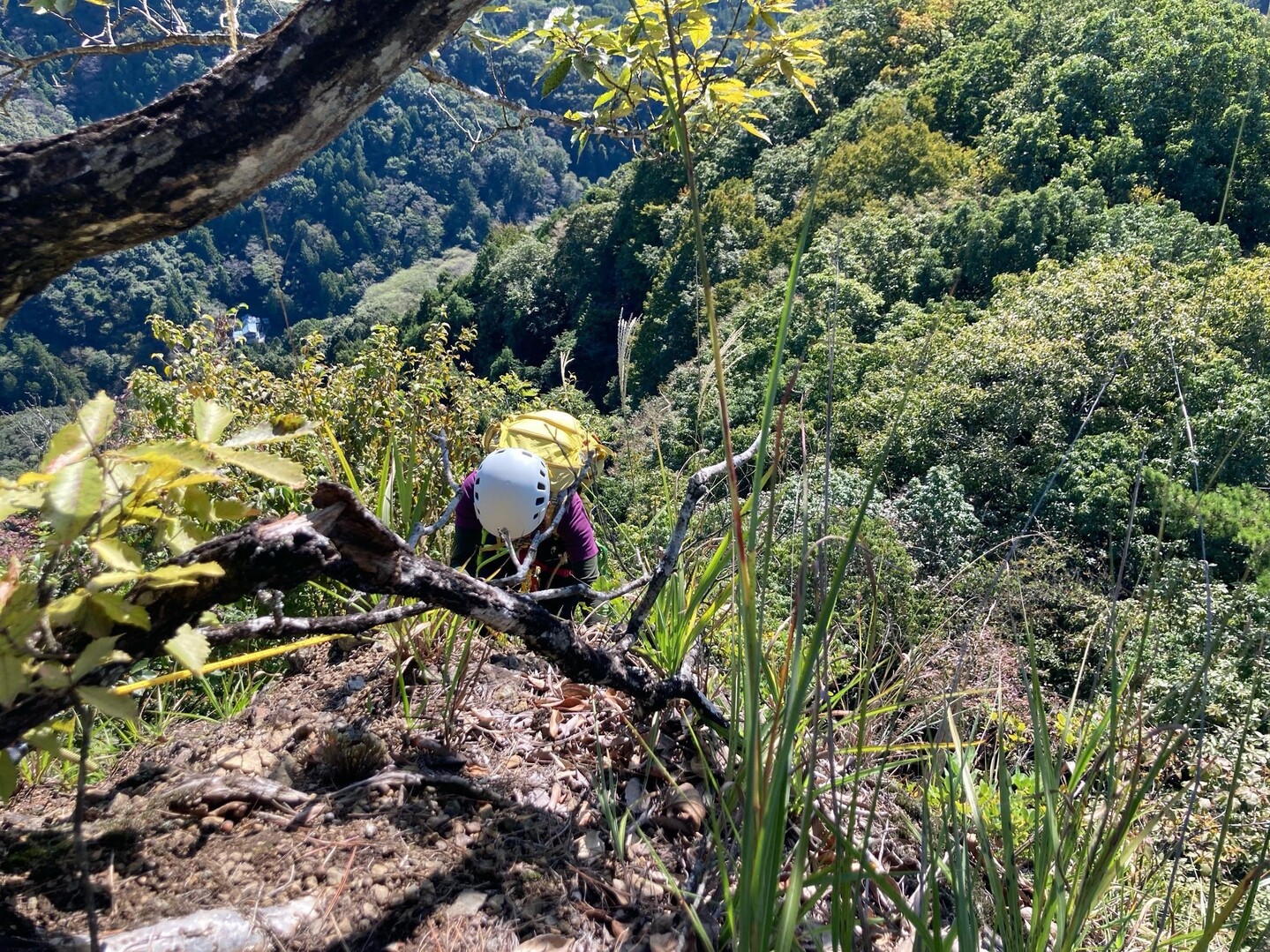 金岳P1〜P5縦走 金岳、完結編 思い残すことはなし / 薫さんの城峯山・破風山の活動データ | YAMAP / ヤマップ