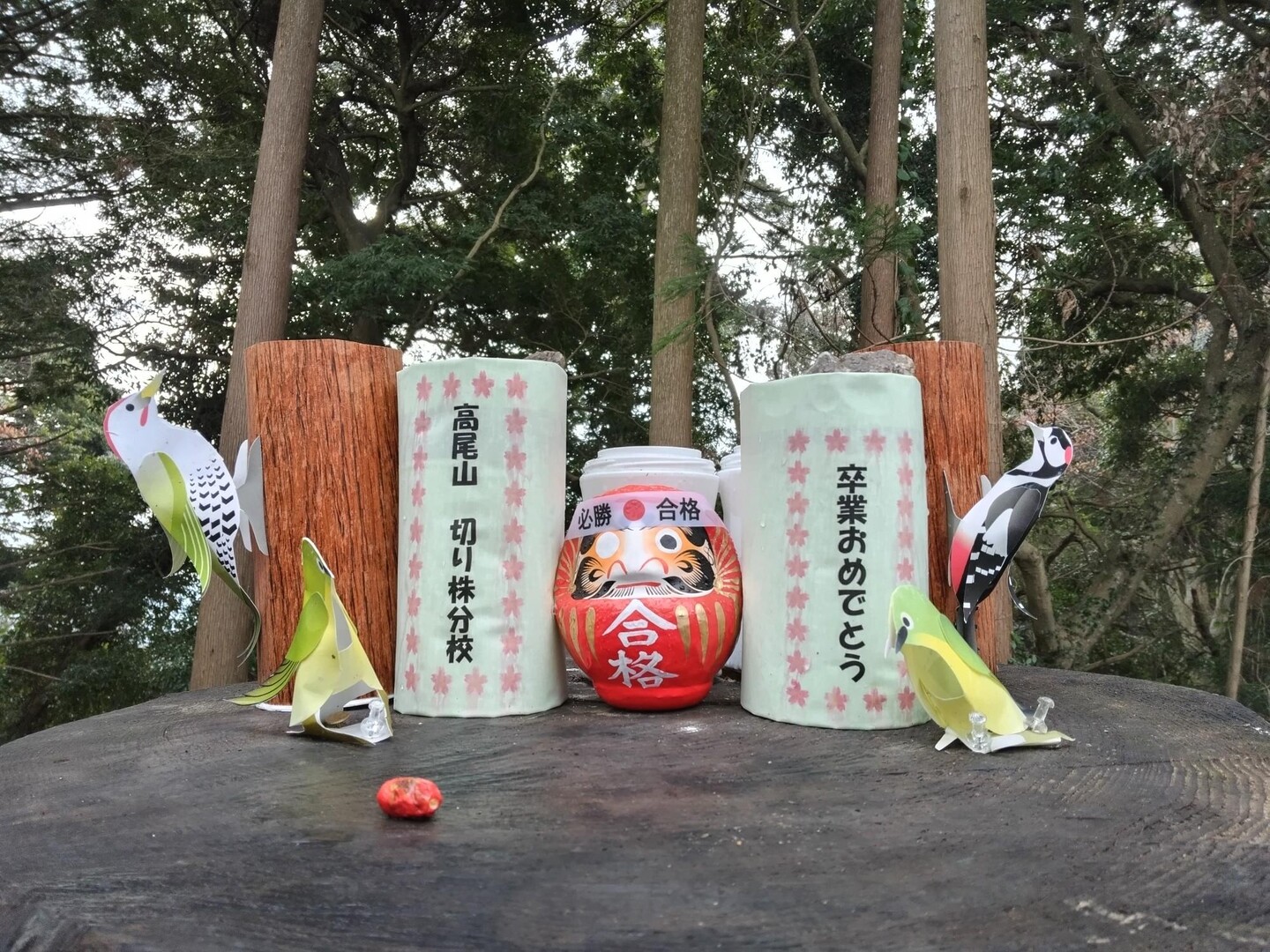 高尾山健康登山47 / HIKARUさんの高尾山・陣馬山・景信山の活動データ | YAMAP / ヤマップ