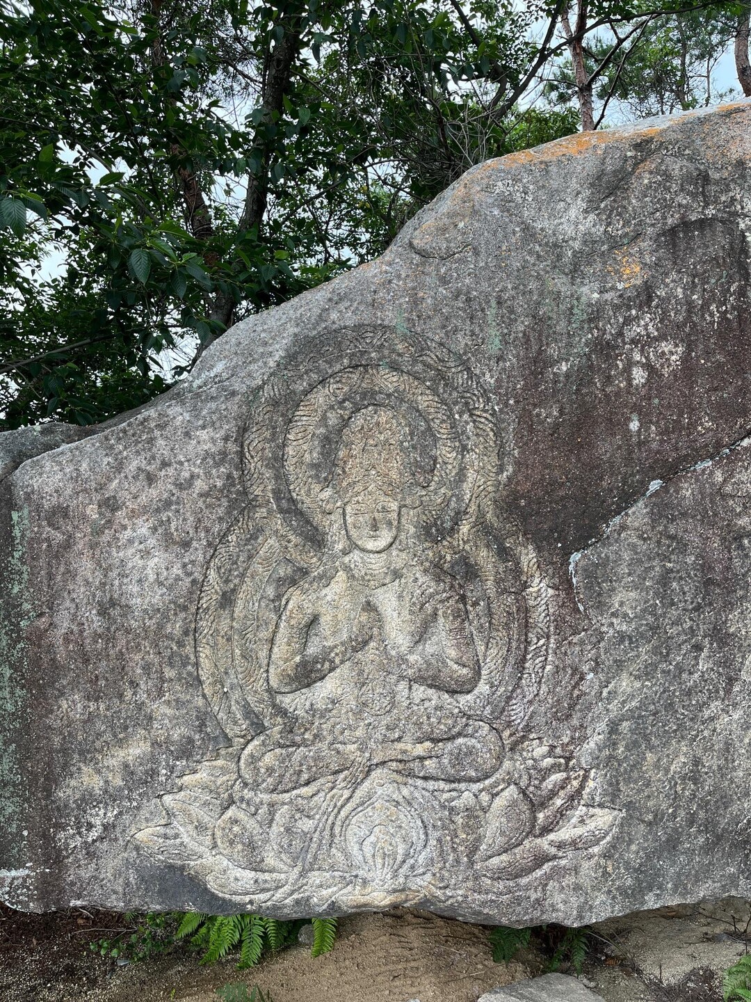 高尾山 / DC2 野郎さんの呉娑々宇山・高尾山（広島県）・日浦山の活動データ | YAMAP / ヤマップ