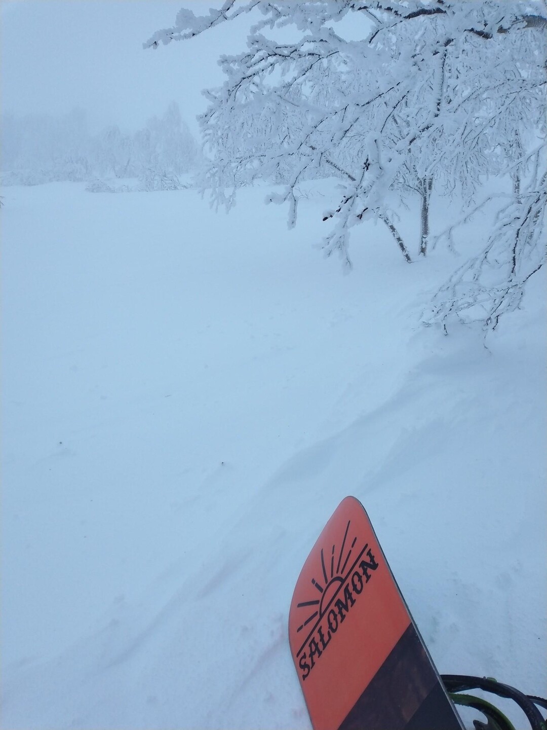 ただの修行～羊蹄山スキー場マッキモコースBC / TARIさんの羊蹄山（蝦夷富士）の活動データ | YAMAP / ヤマップ