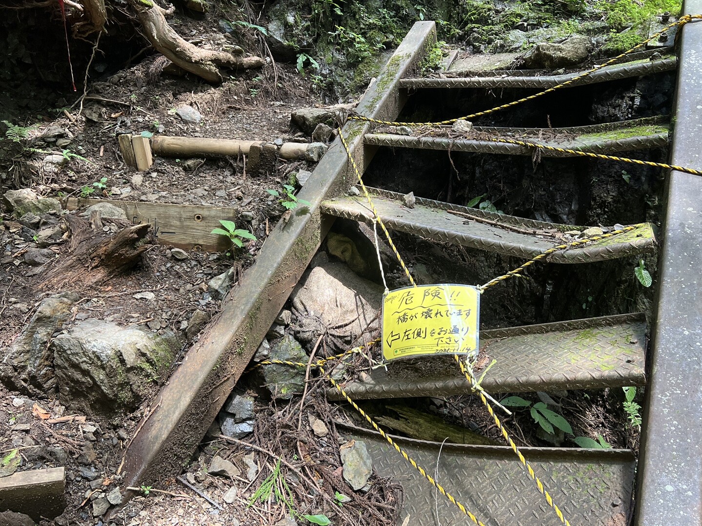 zenさんの投稿したフィールドメモ | YAMAP / ヤマップ