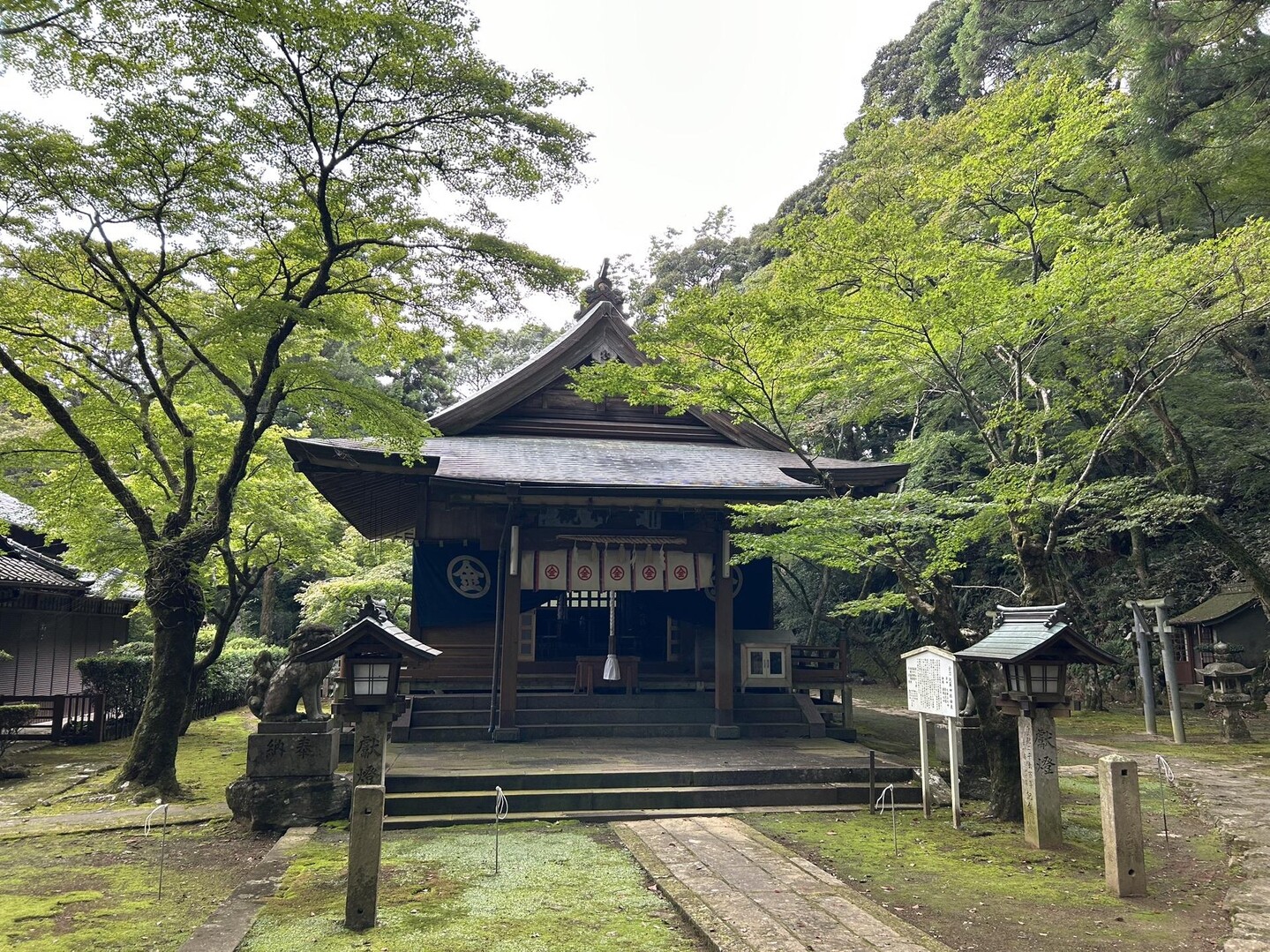 金比羅山⛰️ラストラン🏃‍♀️ / Mimiさんのウォーキングの活動日記 | YAMAP / ヤマップ