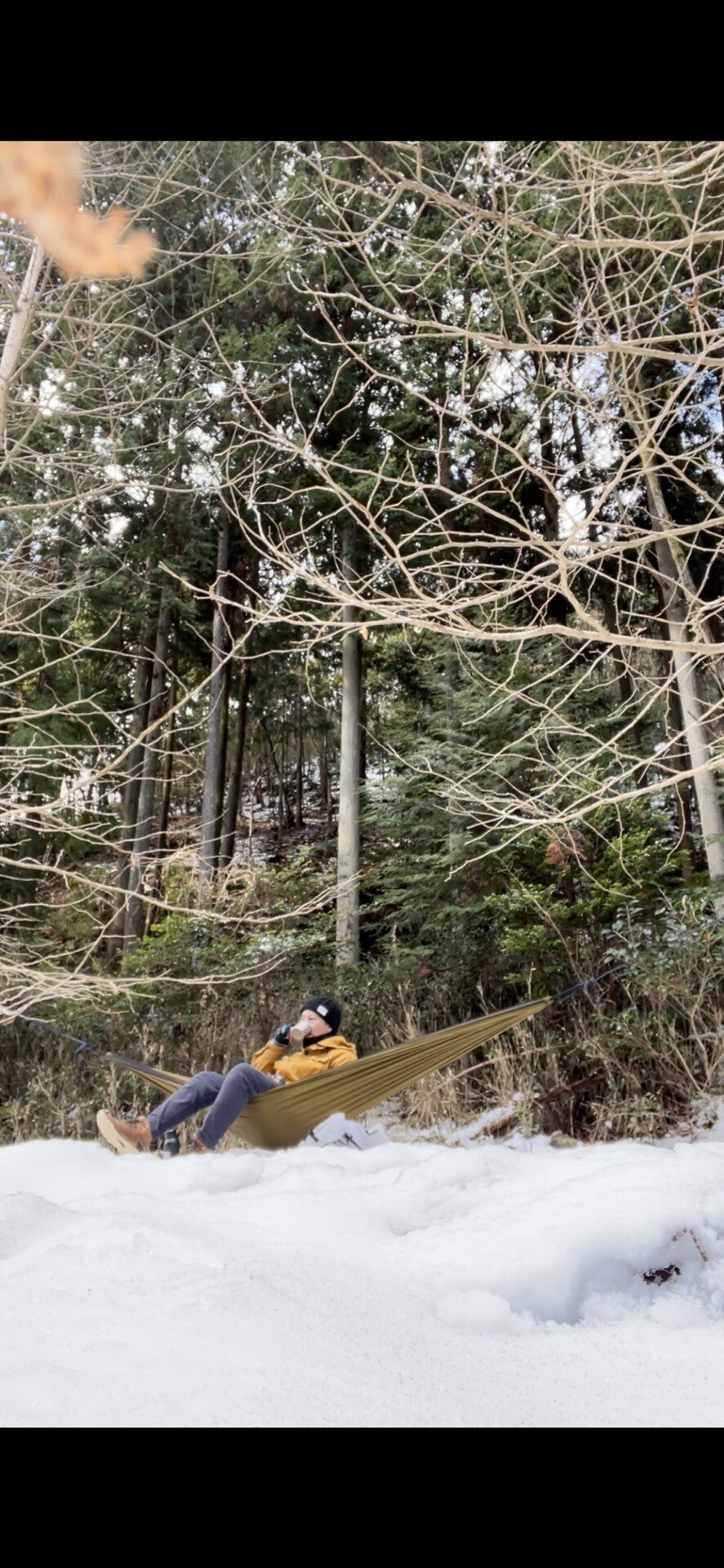 裏山でハンモック / NNNRさんのモーメント | YAMAP / ヤマップ