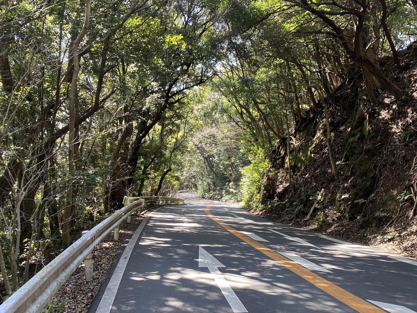 ランニング-2024-03-09 / HIRO-Gさんのランニングの活動データ | YAMAP / ヤマップ