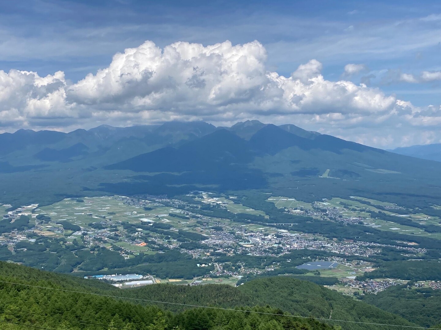 鈴蘭後の入笠湿原、花畑から入笠山へ / 小柴胡湯さんの入笠山の活動データ | YAMAP / ヤマップ