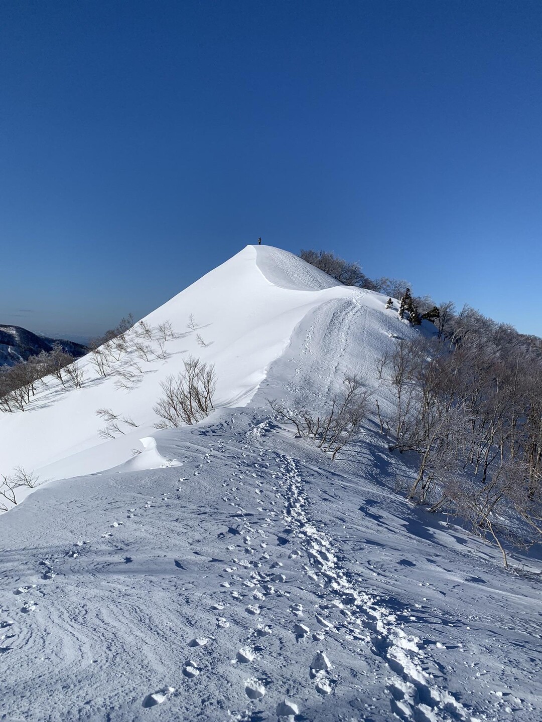 五頭山 / TKSNDさんの五頭山・菱ヶ岳・宝珠山の活動データ | YAMAP / ヤマップ