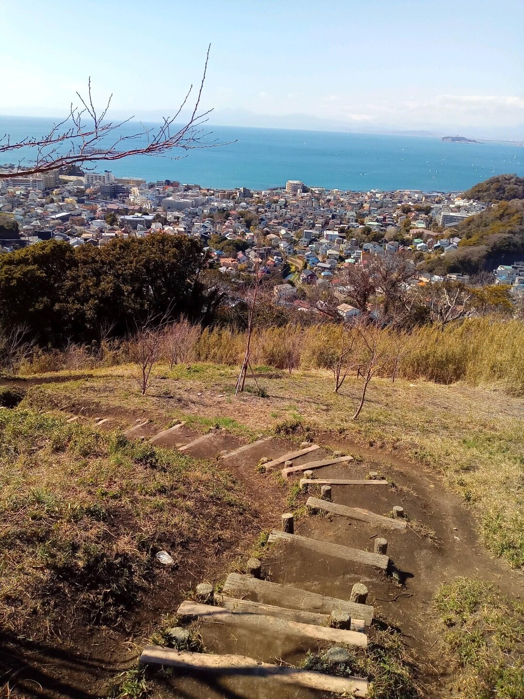 矢落山（乳頭山）・茅塚・大桜・高塚・観音塚・ソッカ・仙元山 / kyo_koさんの三浦アルプス・二子山・仙元山の活動データ | YAMAP / ヤマップ