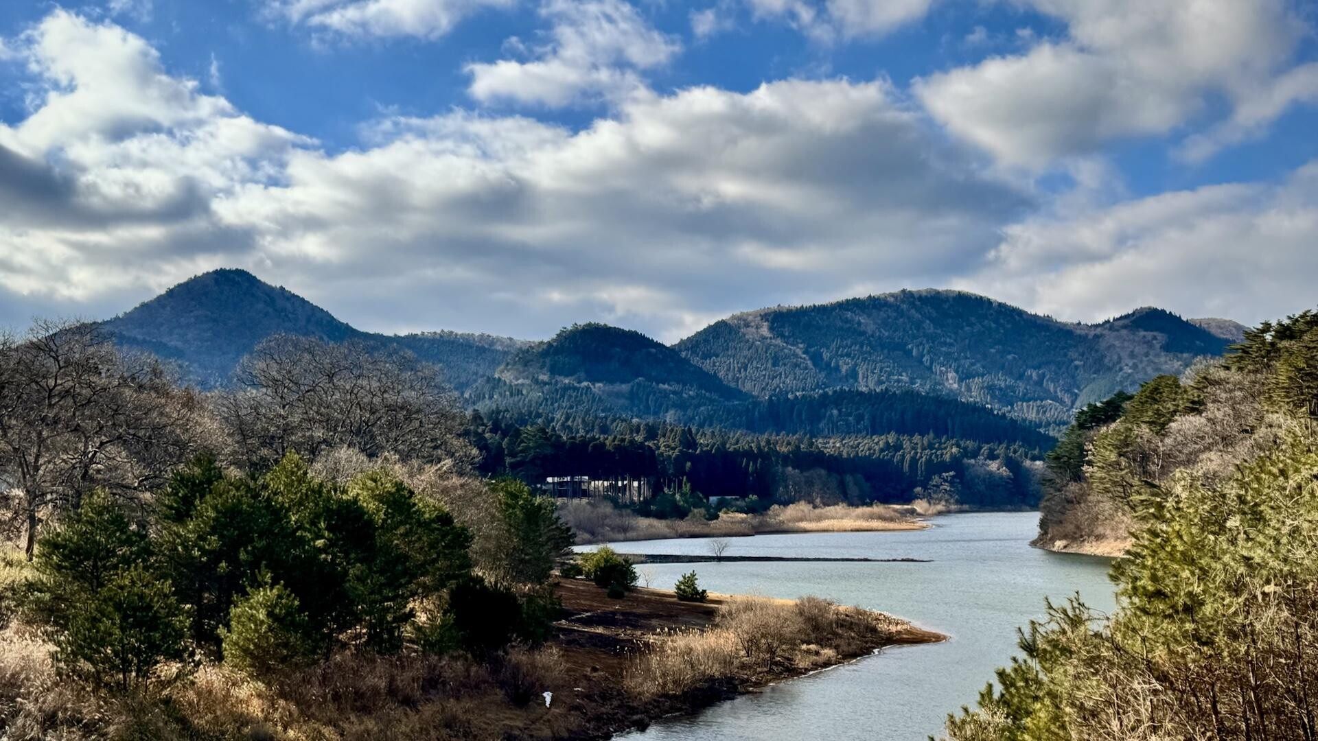 大分百山 由布市 “⛰️野稲岳” / 𝑺𝒕𝒂𝒓⭐️𝑪𝒓𝒐𝒔𝒔さんの野稲岳・大久保山の活動データ | YAMAP / ヤマップ