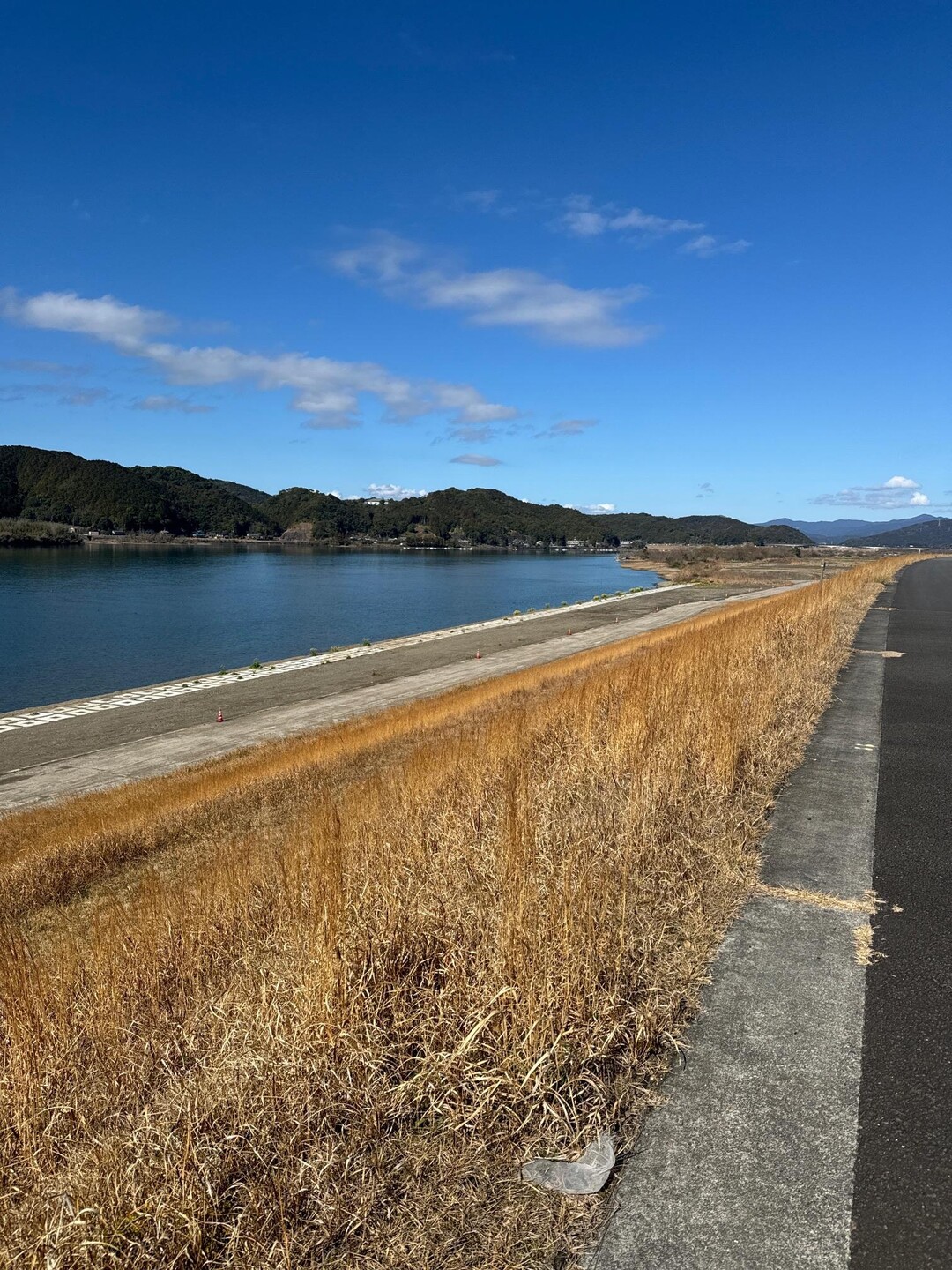 ウォーキング-2024-02-18 / sachiさんのウォーキングの活動データ | YAMAP / ヤマップ