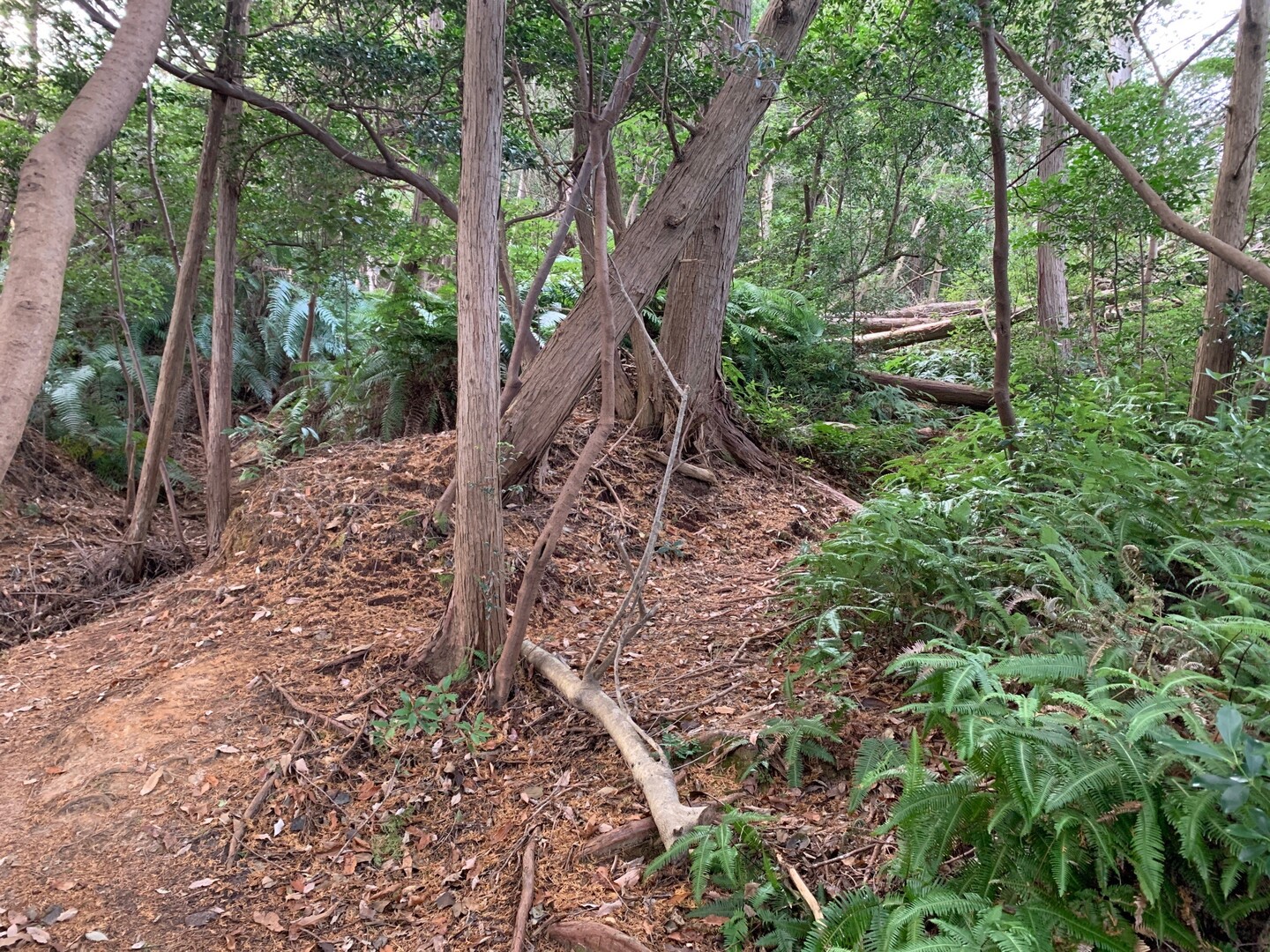 si-takaさんの投稿したフィールドメモ | YAMAP / ヤマップ