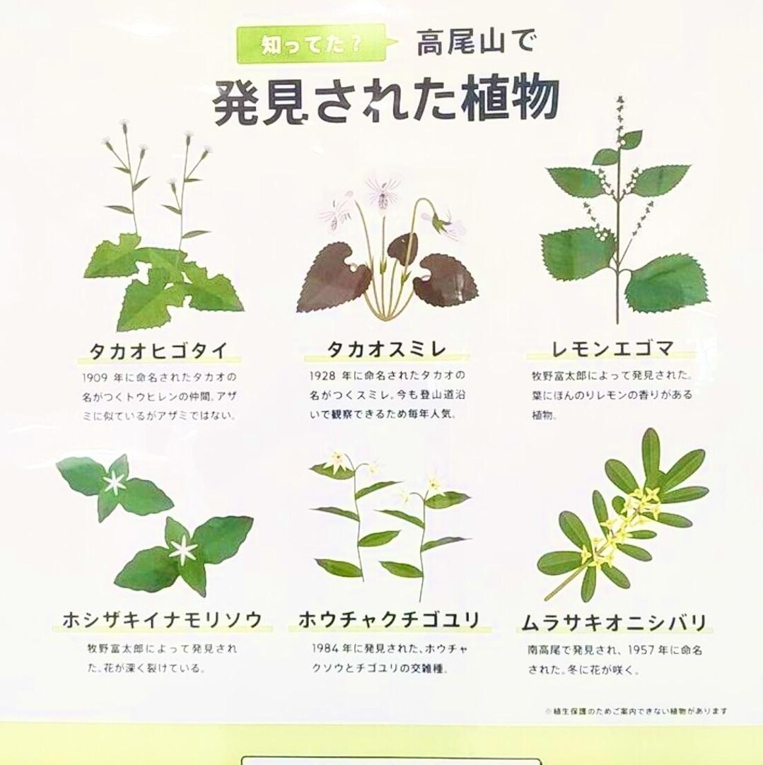 2023陣馬高尾スタンプハイク / KANA&COさんの高尾山・陣馬山・景信山の活動データ | YAMAP / ヤマップ