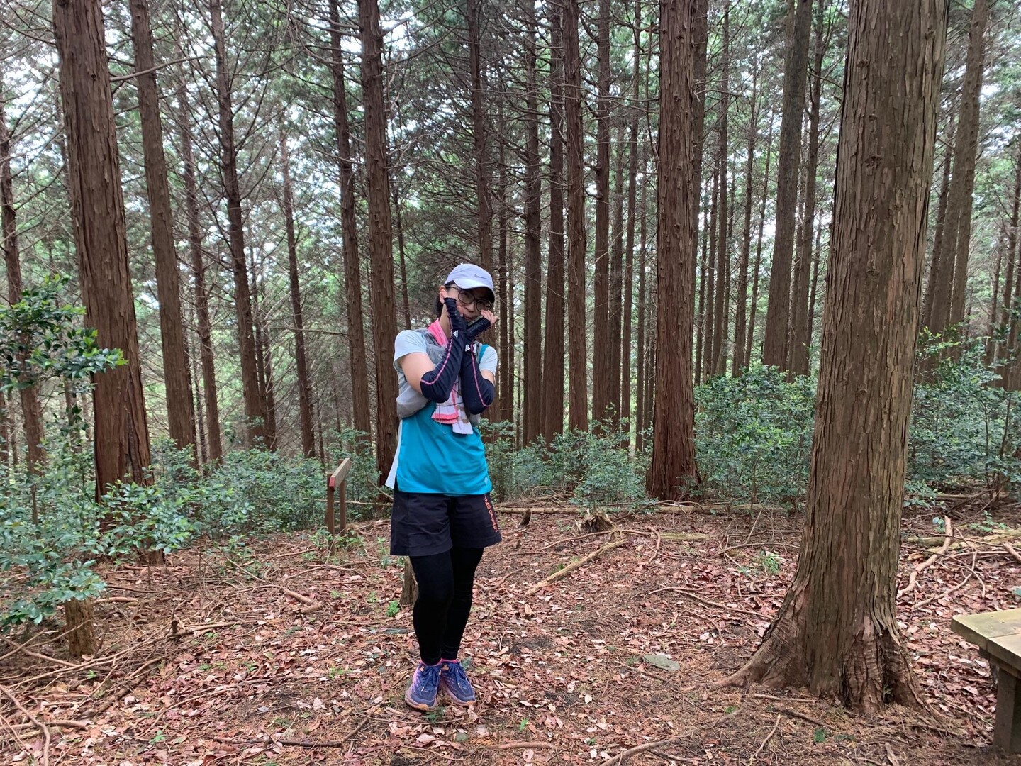 majo現る🧙‍♀️（喜桜山etc.35座） / si-takaさんの額堂山・水晶山・京ヶ峯の活動データ | YAMAP / ヤマップ