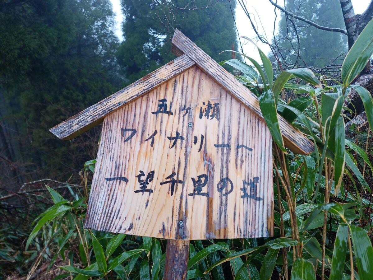 桝形山 / toshil-_-lさんの桝形山・樺木岳の活動データ | YAMAP / ヤマップ