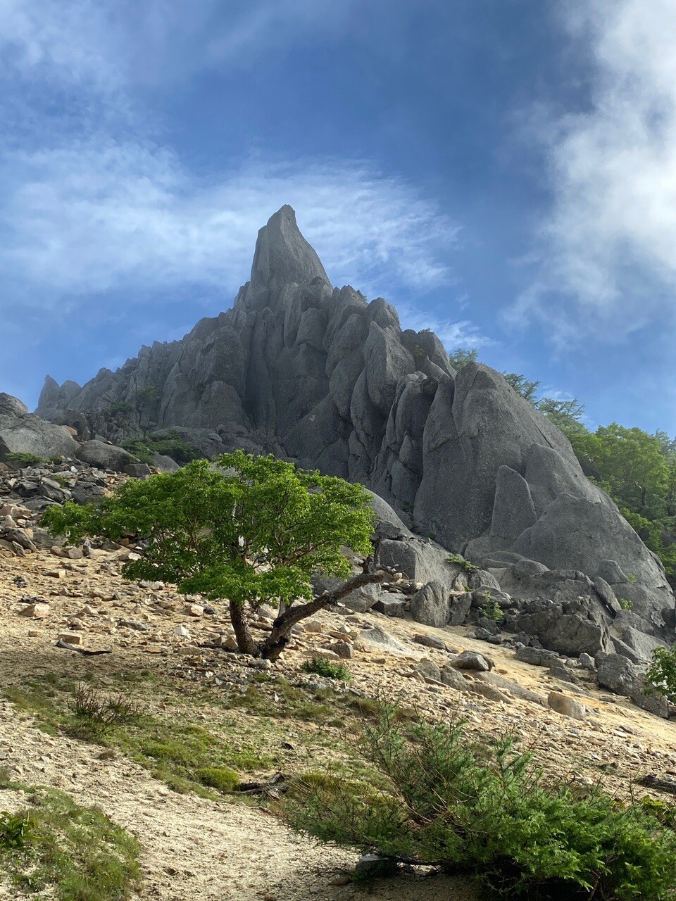 鳳凰三山 夜叉神峠往復一泊 / katura nobanaさんの鳳凰山・地蔵岳・観音岳・薬師岳の活動データ | YAMAP / ヤマップ