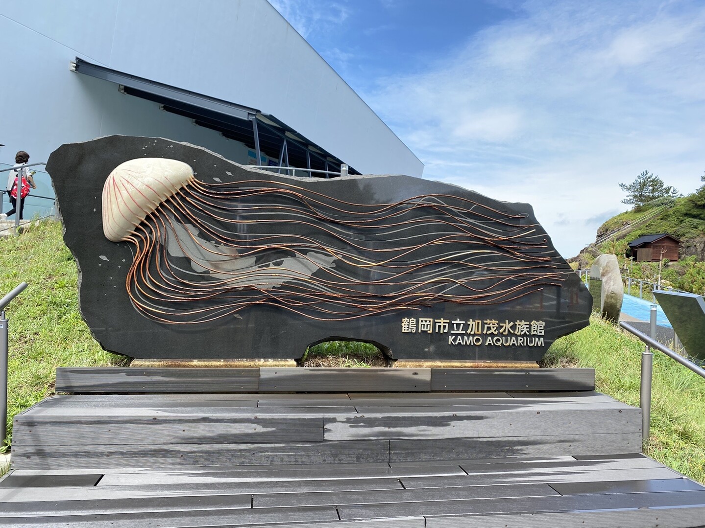 鶴岡市立加茂水族館 / ルビーさんのモーメント | YAMAP / ヤマップ