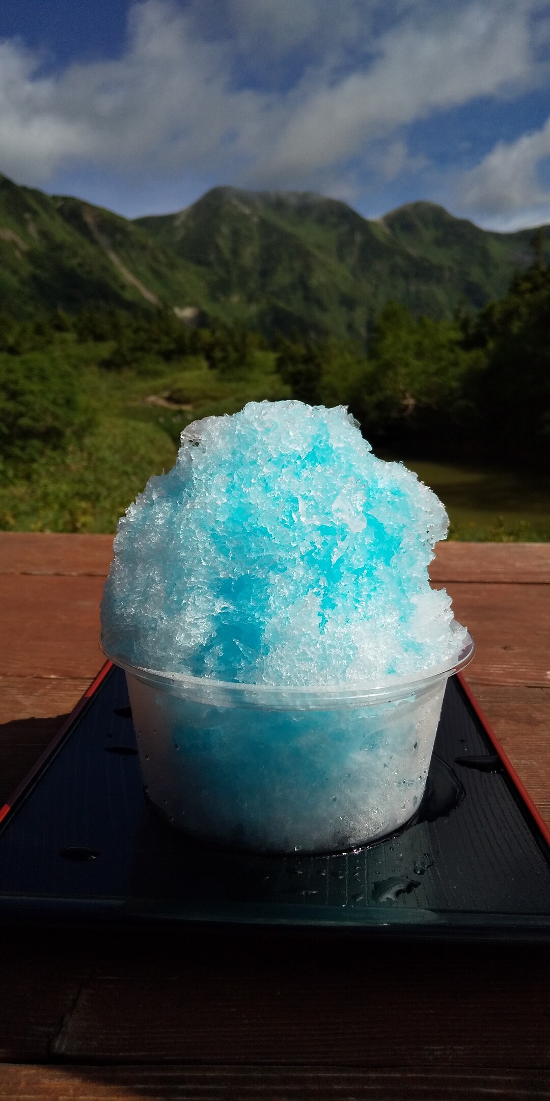 双六岳・三俣蓮華岳・黒部五郎岳 2020.8.13~16 / ayuさんの槍ヶ岳・穂高岳・上高地の活動データ | YAMAP / ヤマップ