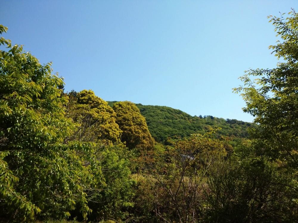 太平山・晃石山 / Hi.Roさんの太平山・晃石山・唐沢山の活動データ | YAMAP / ヤマップ