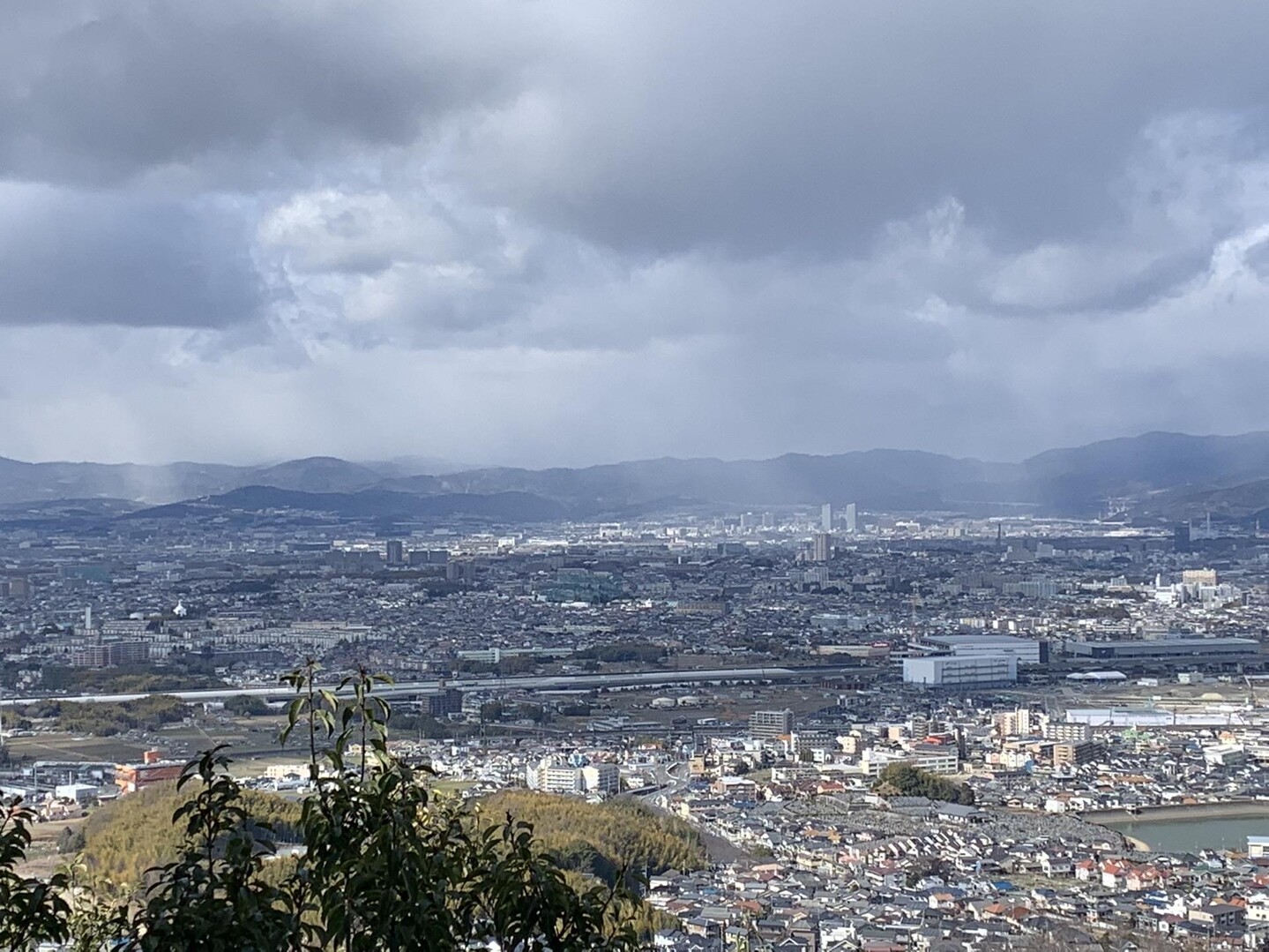 星田発・寝屋川公園行き☆星田連山未踏ルート探索！(^-^) / koe-sunさんの交野山・国見山の活動データ | YAMAP / ヤマップ