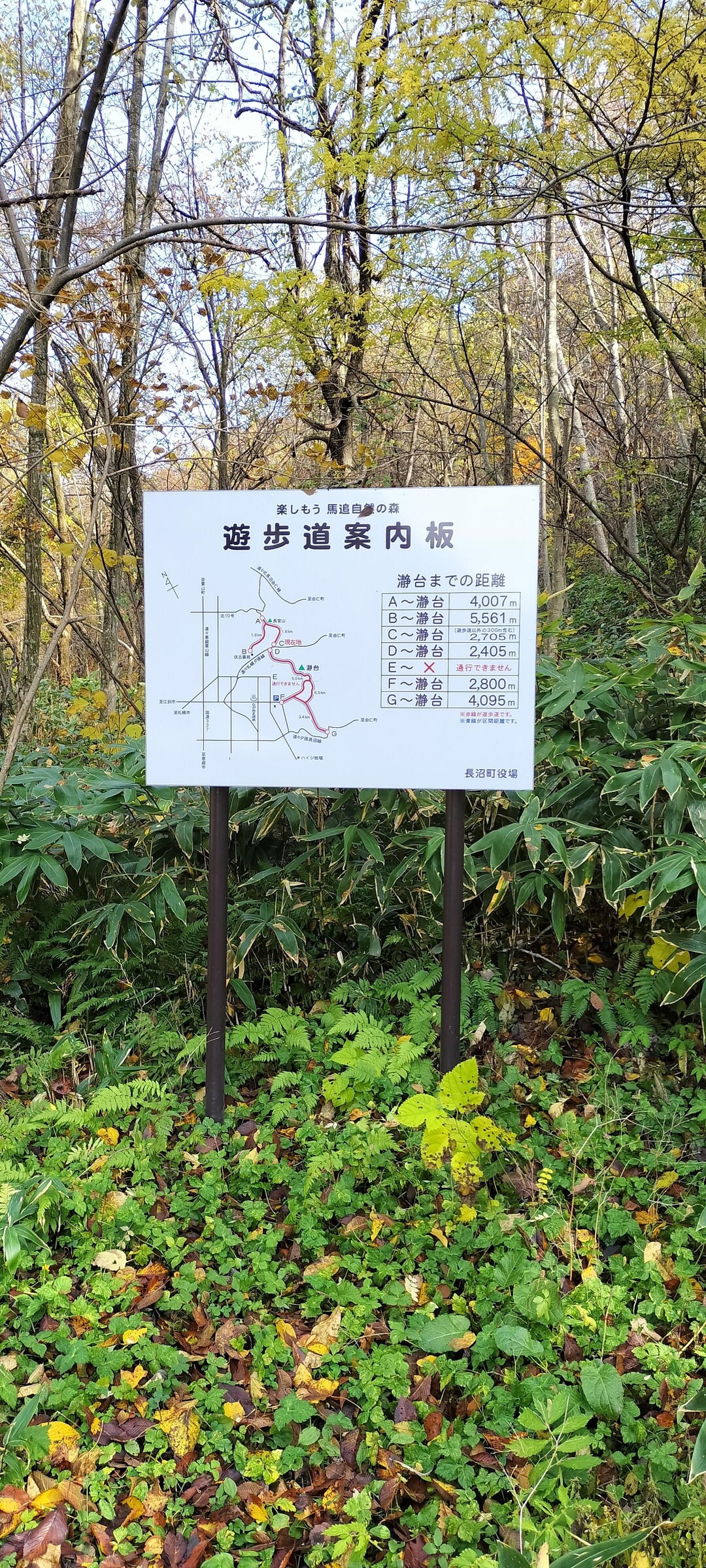 本日2回目のハイキングです! 少し疲れた... / のりさんのモーメント | YAMAP / ヤマップ