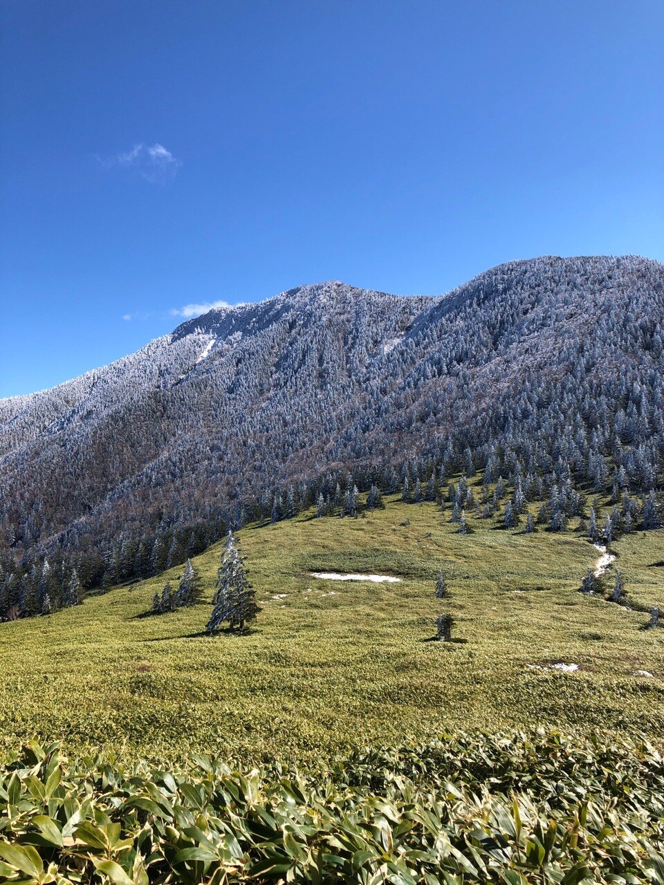 四阿山・根子岳ダブルピークの巻 / Deep Blue🍀さんの四阿山・根子岳の活動日記 | YAMAP / ヤマップ