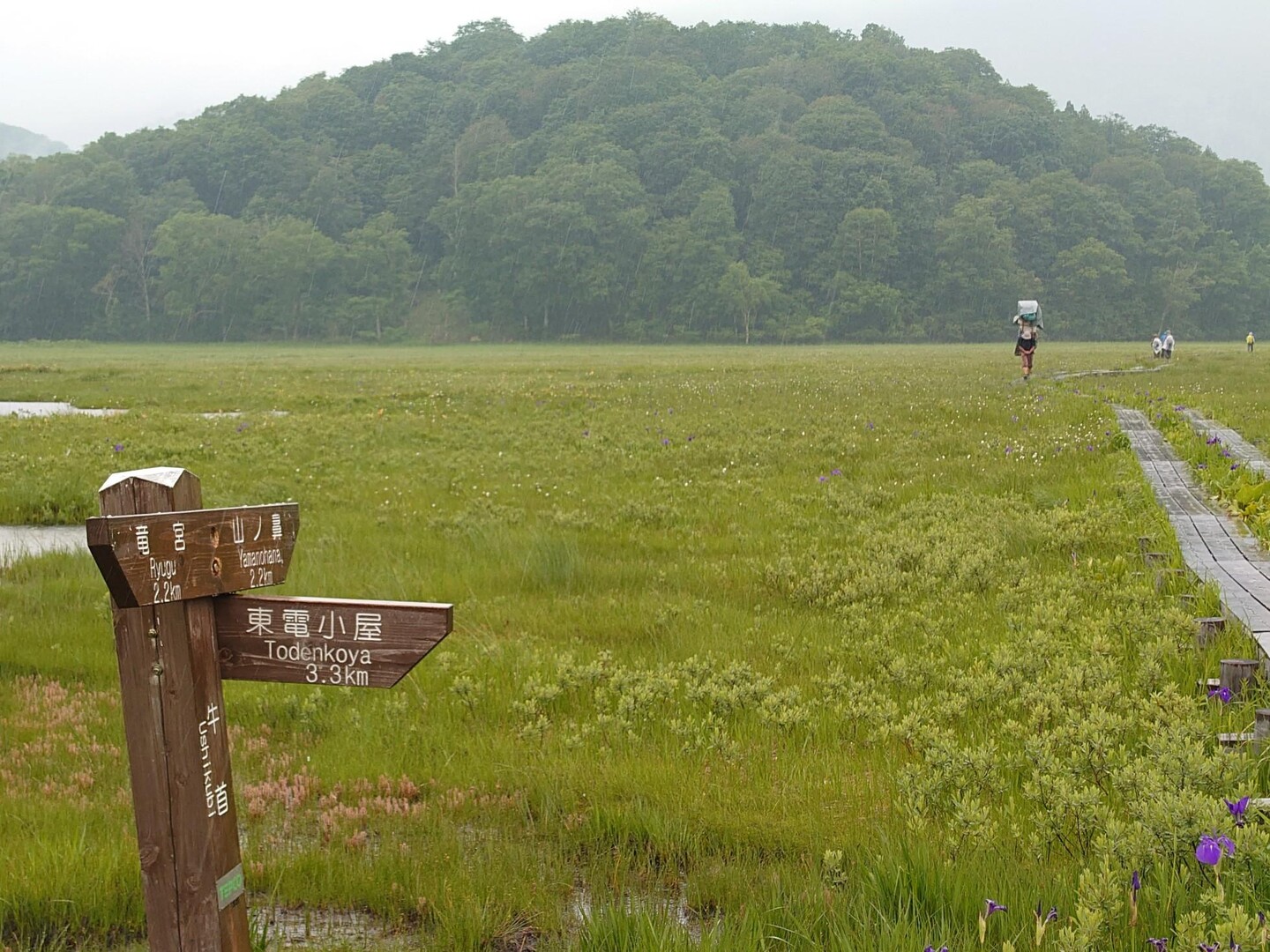 尾瀬ヶ原〜尾瀬沼 1日縦走 / eunos.kkさんの尾瀬・燧ヶ岳の活動データ | YAMAP / ヤマップ