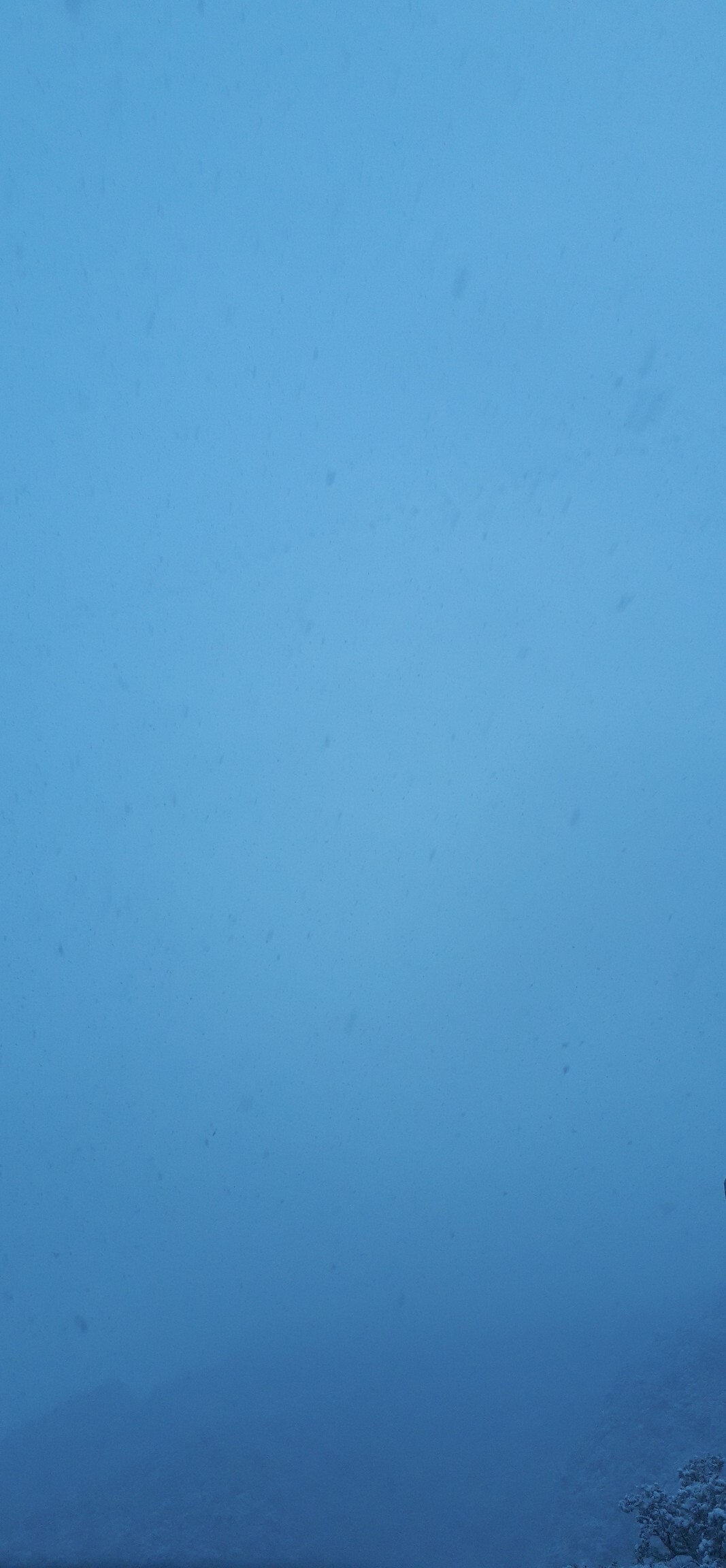 【今日は～金華山～】 おはようございま... / ☆•*¨*•.¸¸🧞‍♂️ Genie (ma-2) 🧞‍♂️•*¨*•.¸¸☆さんのモーメント | YAMAP / ヤマップ