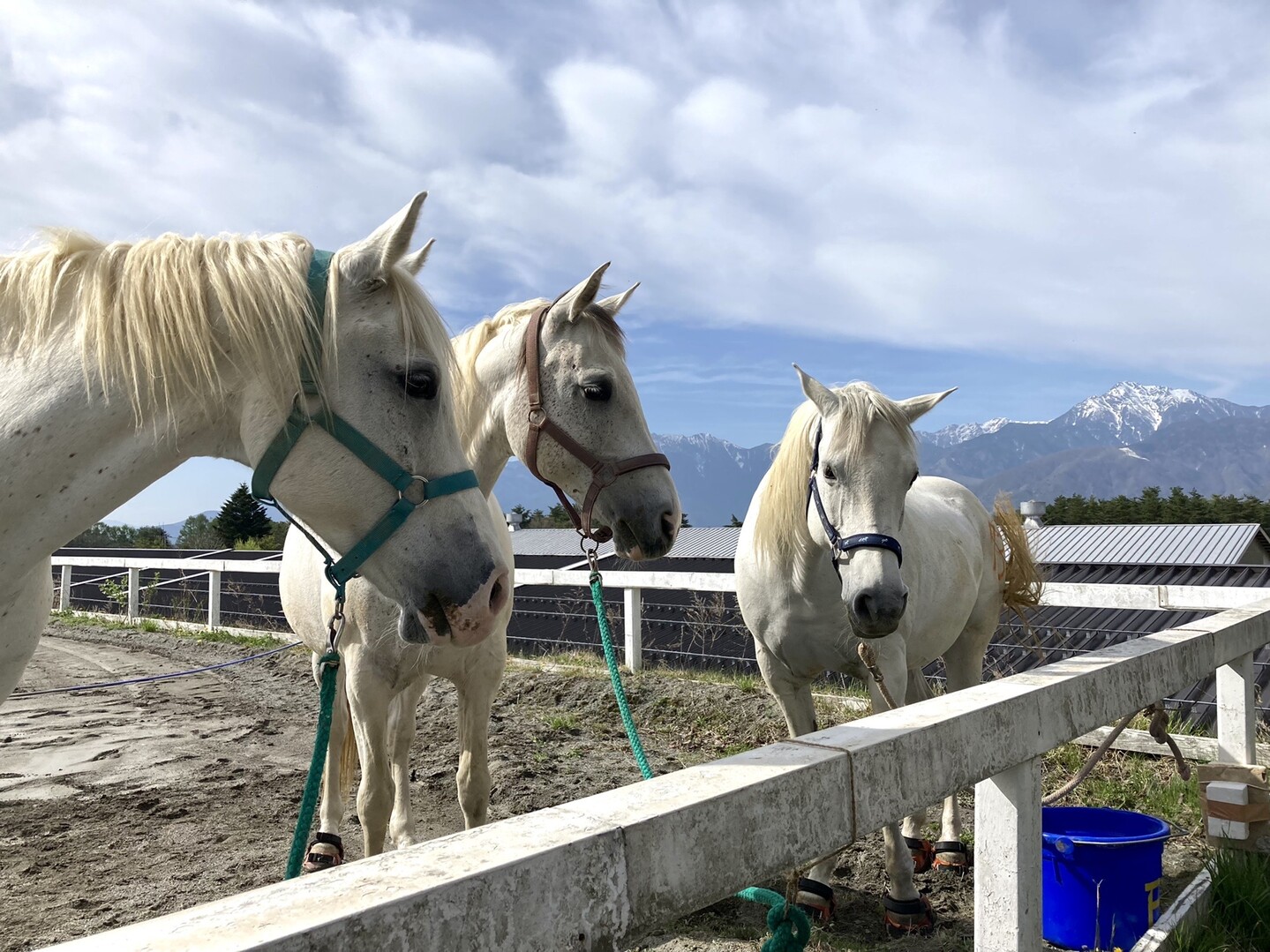 4月23日に八ヶ岳🏇エンデュランス馬術... / Beniさんのモーメント | YAMAP / ヤマップ