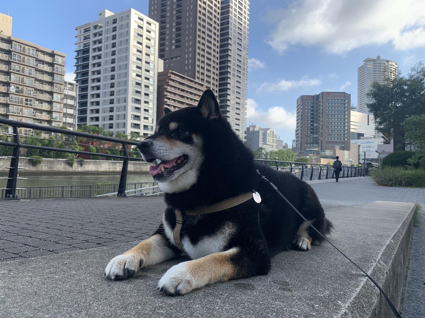 大阪 中之島であさんぽ / ta614さんのウォーキングの活動データ | YAMAP / ヤマップ