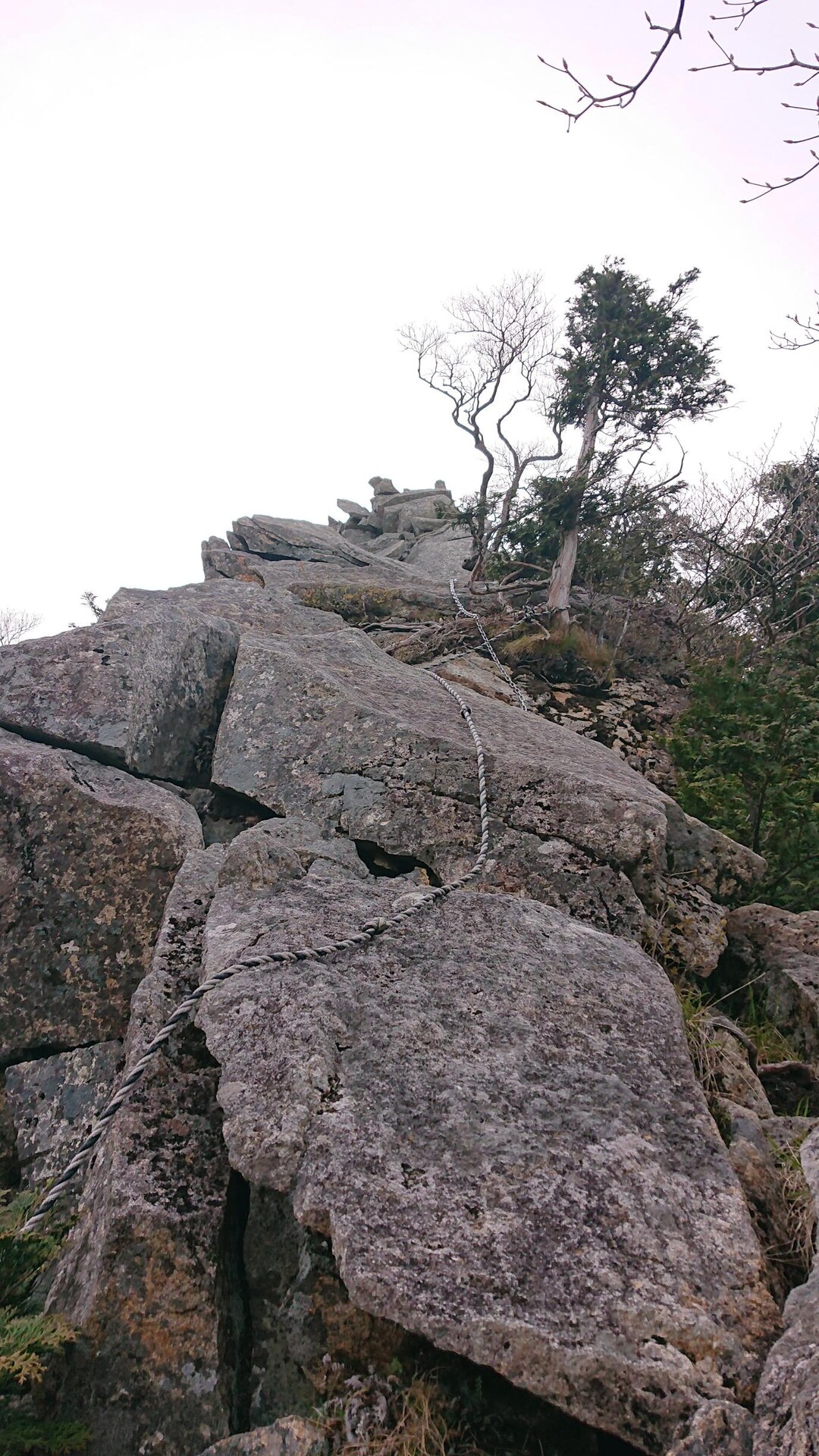 大日岳・釈迦ヶ岳～ちょっと修行へ～ / t-setoさんの大峯奥駈道 その3（太古ノ辻～行仙宿）の活動データ | YAMAP / ヤマップ