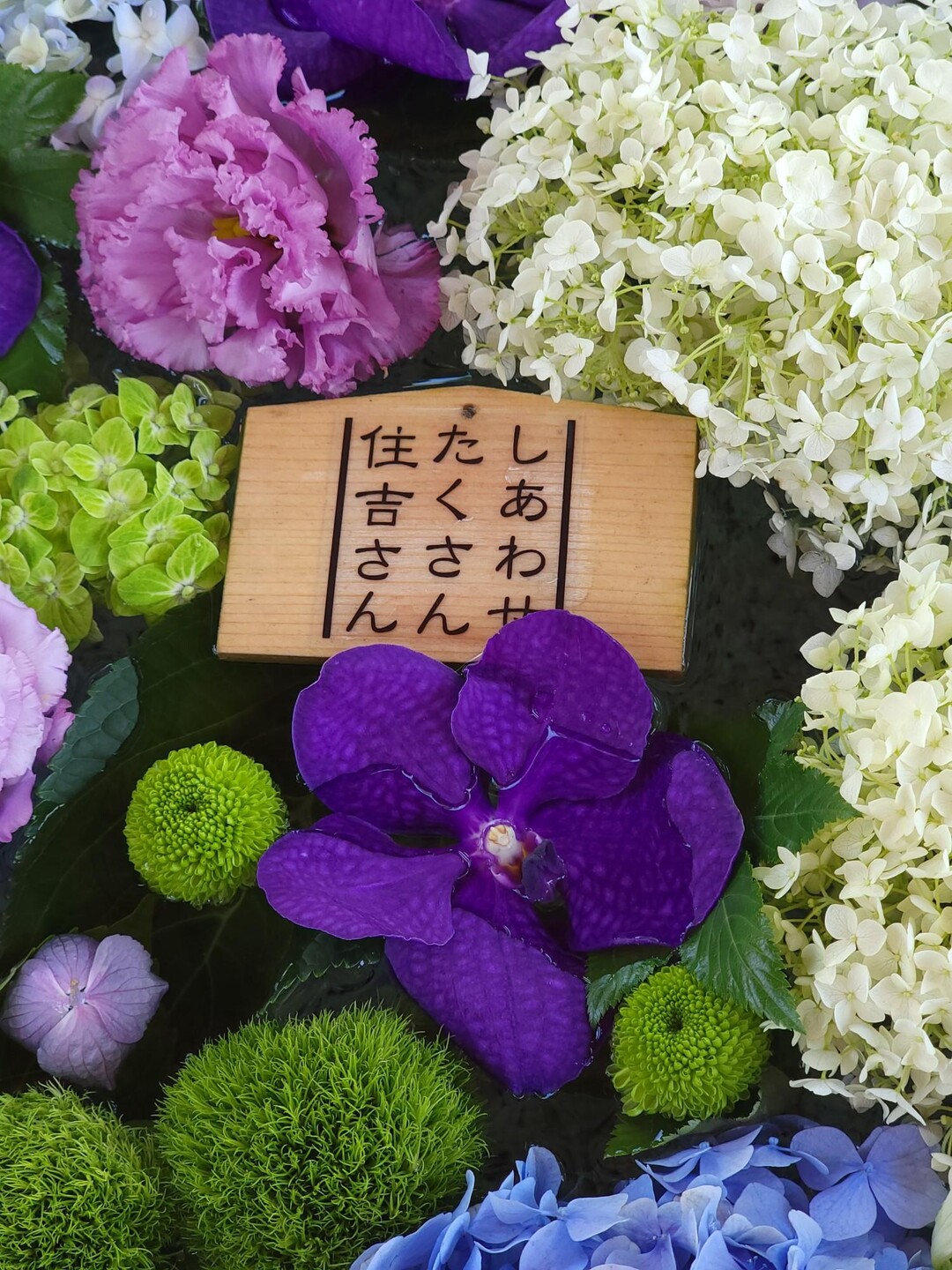 住吉神社⛩️花手水💙💜第6弾 ポコポ... / HARUさんのモーメント | YAMAP / ヤマップ