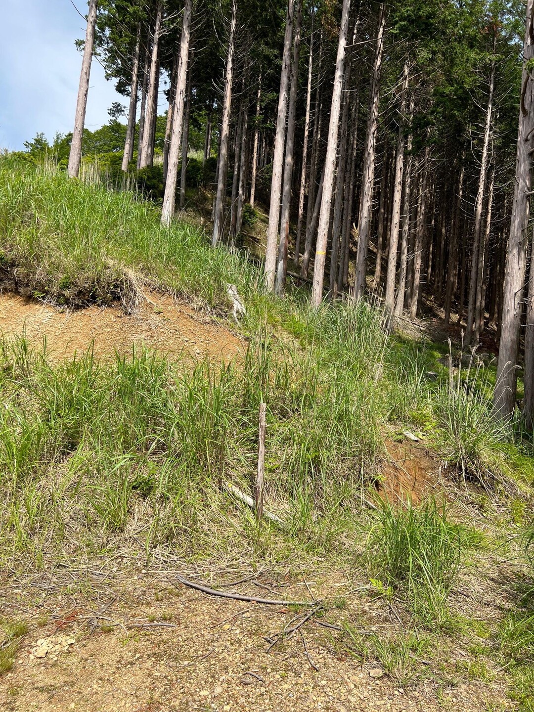 kyoopoさんの投稿したフィールドメモ | YAMAP / ヤマップ