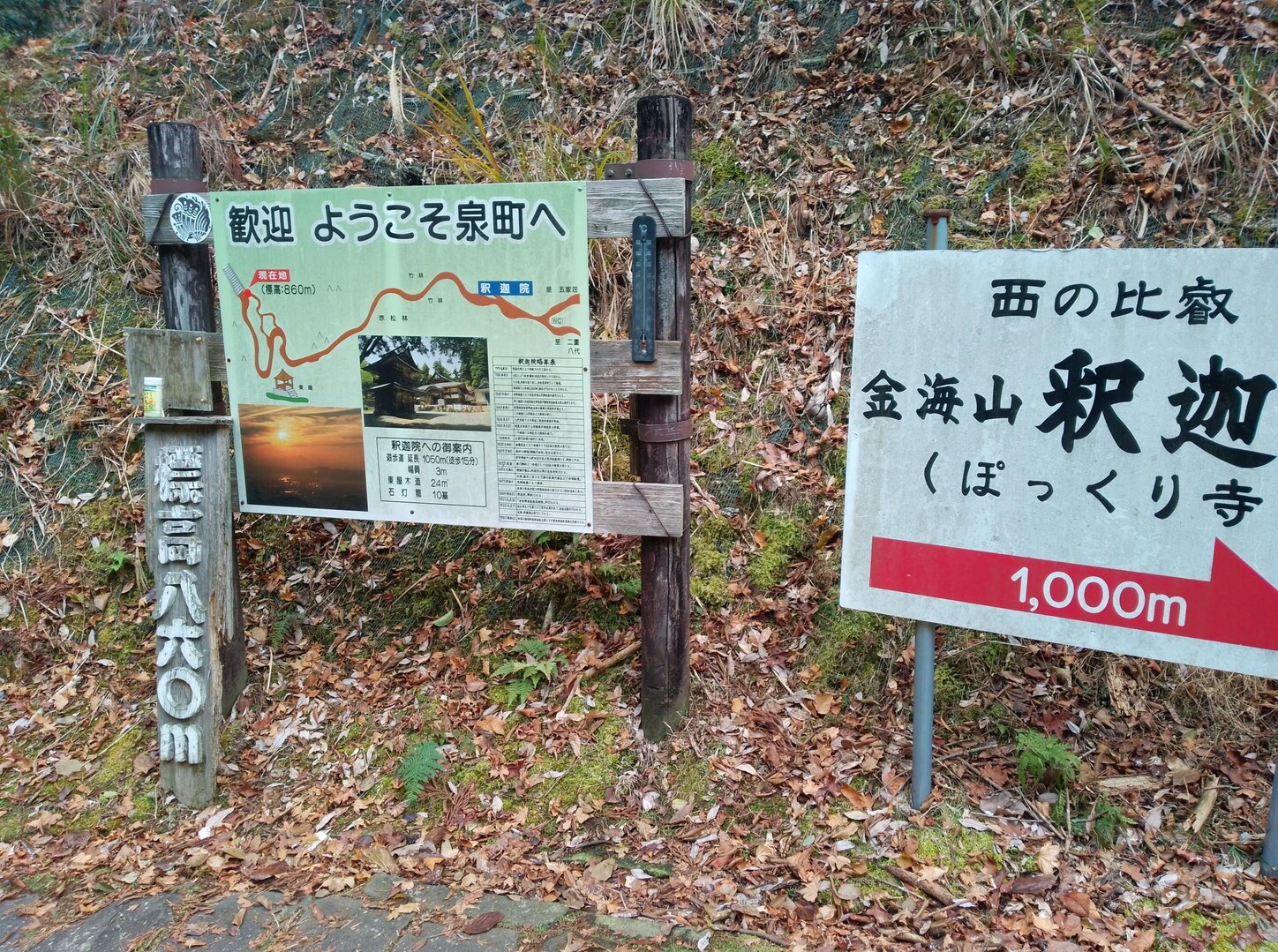 わ～い♪3333段♪ / とっさんさんの大行寺山の活動データ | YAMAP / ヤマップ