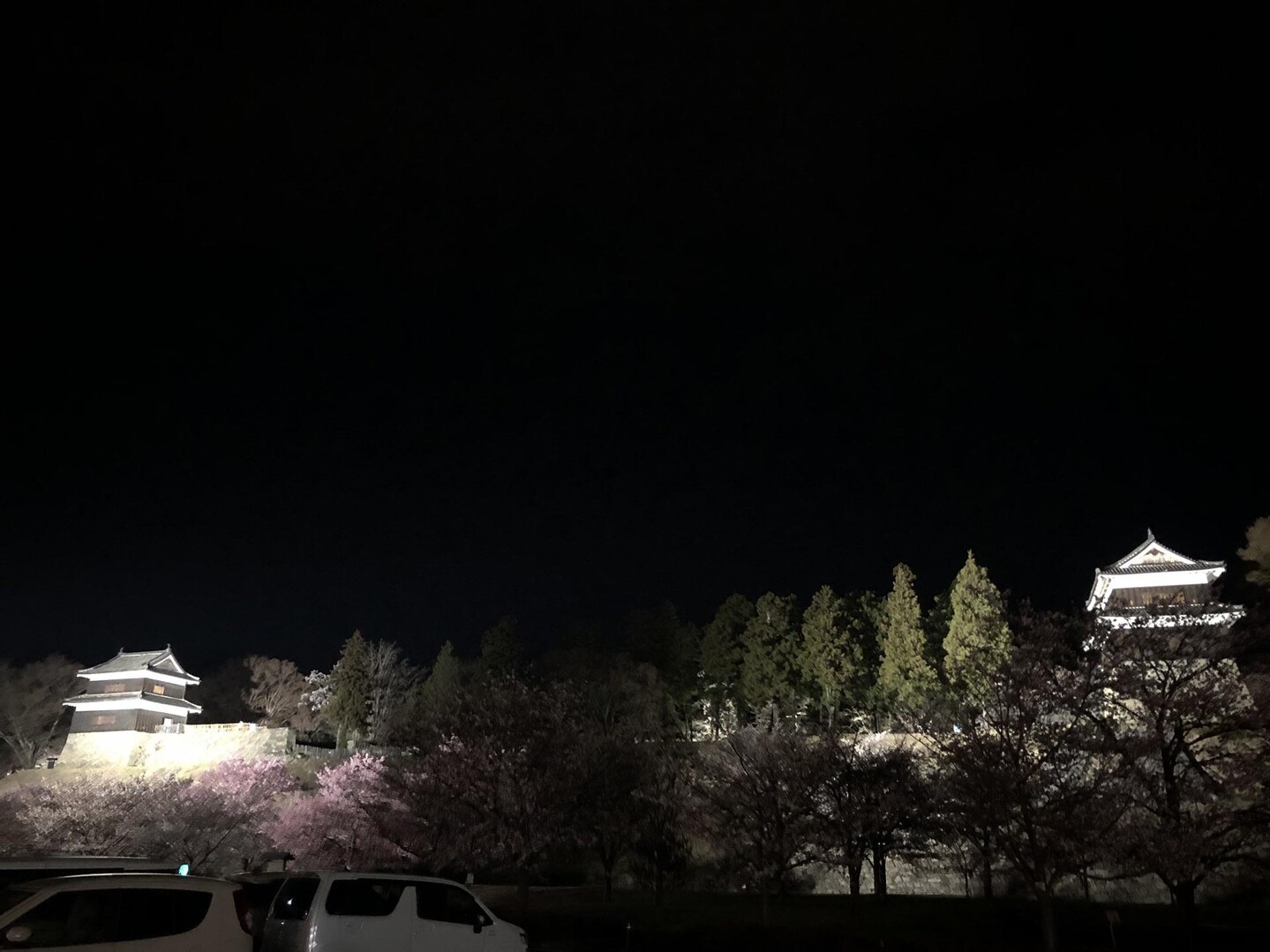 今日は、既に上田城址の桜が満開との情報を... / SamuSamuさんのモーメント | YAMAP / ヤマップ