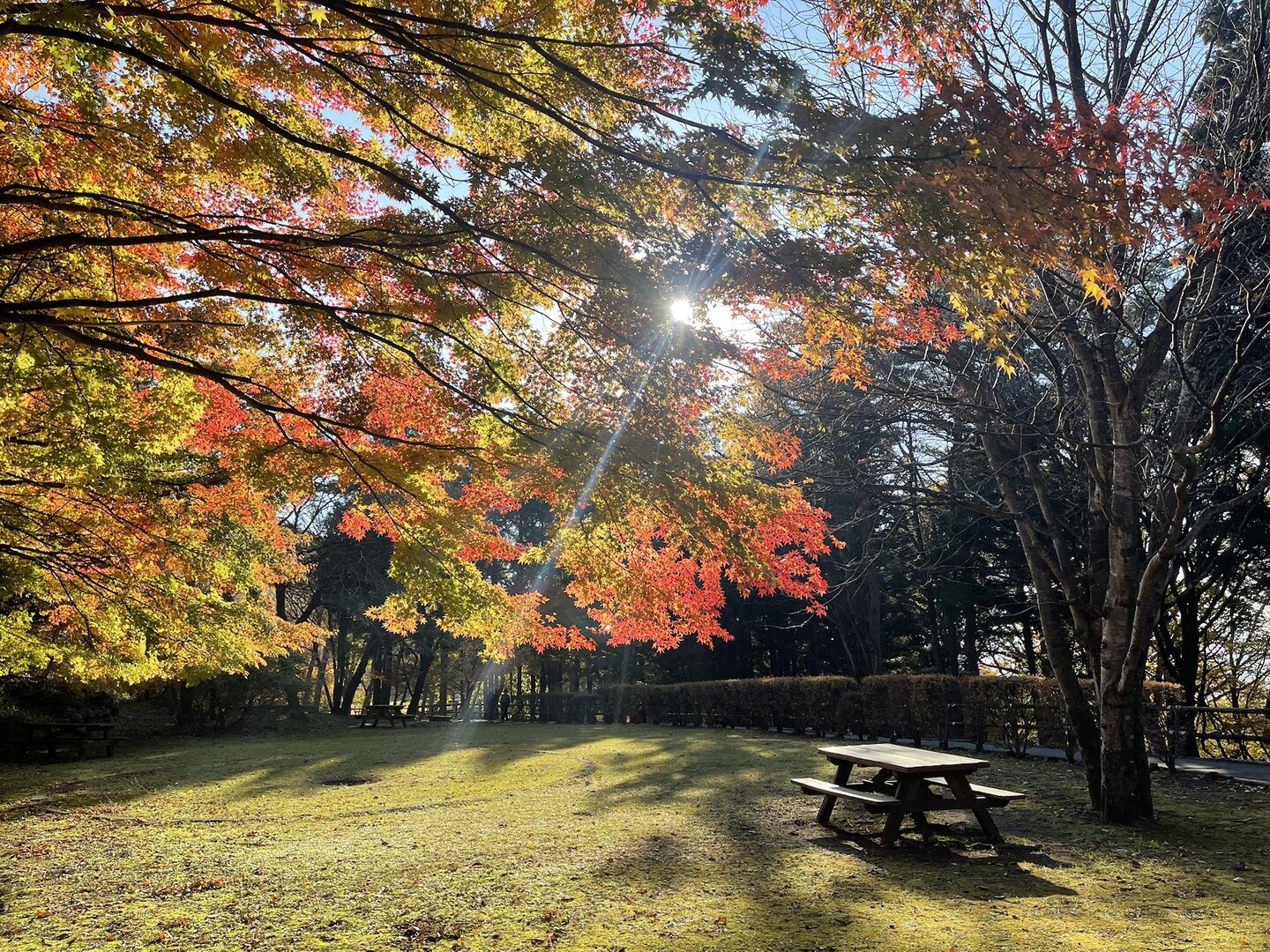 火起山・竈山・鍋割山 / ユーザーZawさんの赤城山・黒檜山・荒山の活動日記 | YAMAP / ヤマップ