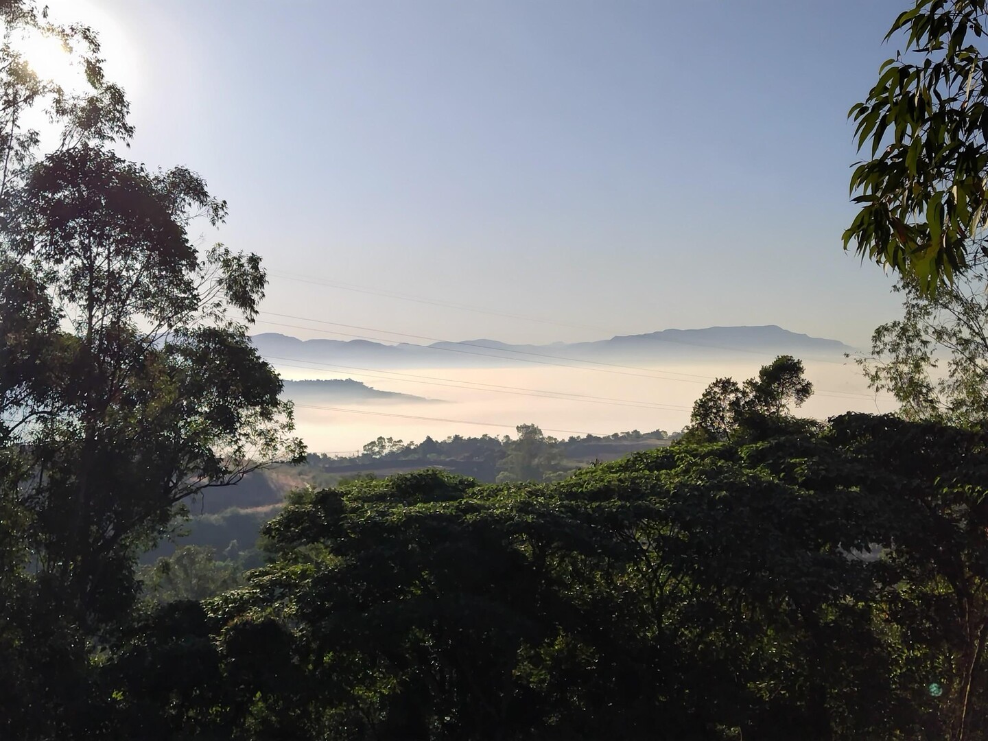 ブラジルも初冬、内陸部の朝は肌寒い。ジャ... / bitoonさんのモーメント | YAMAP / ヤマップ